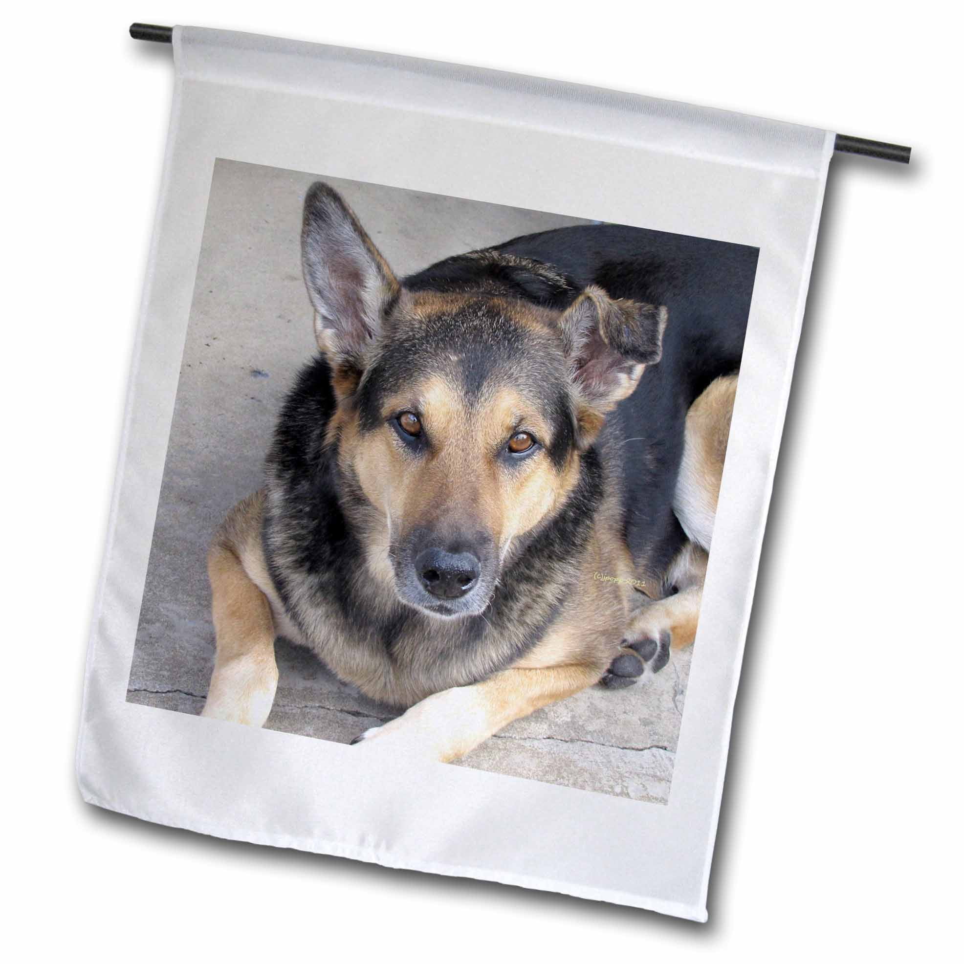 3dRose German Shepherd - Garden Flag, 12 by 18-inch - Walmart.com