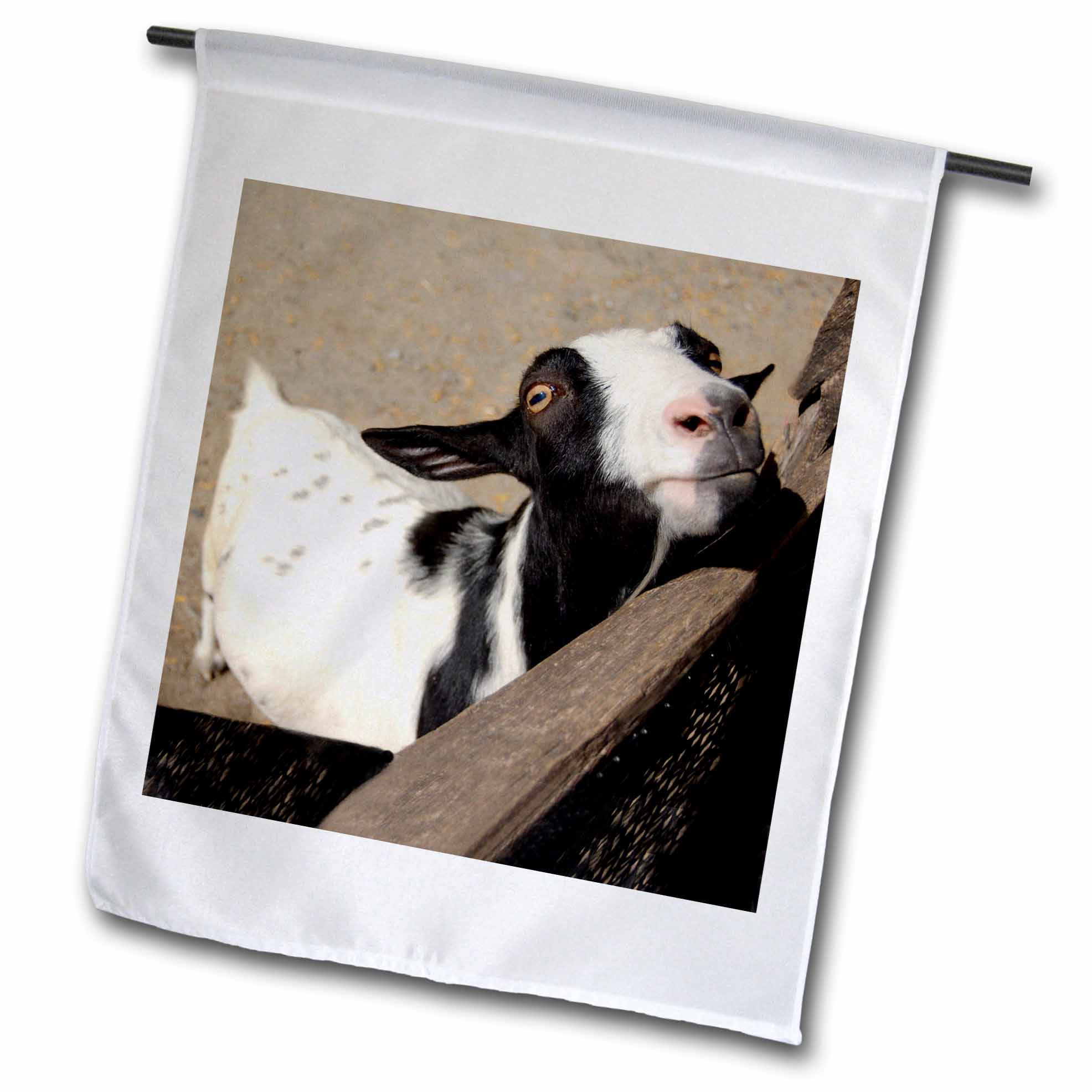 3dRose Goat - Garden Flag, 12 by 18-inch - Walmart Business Supplies