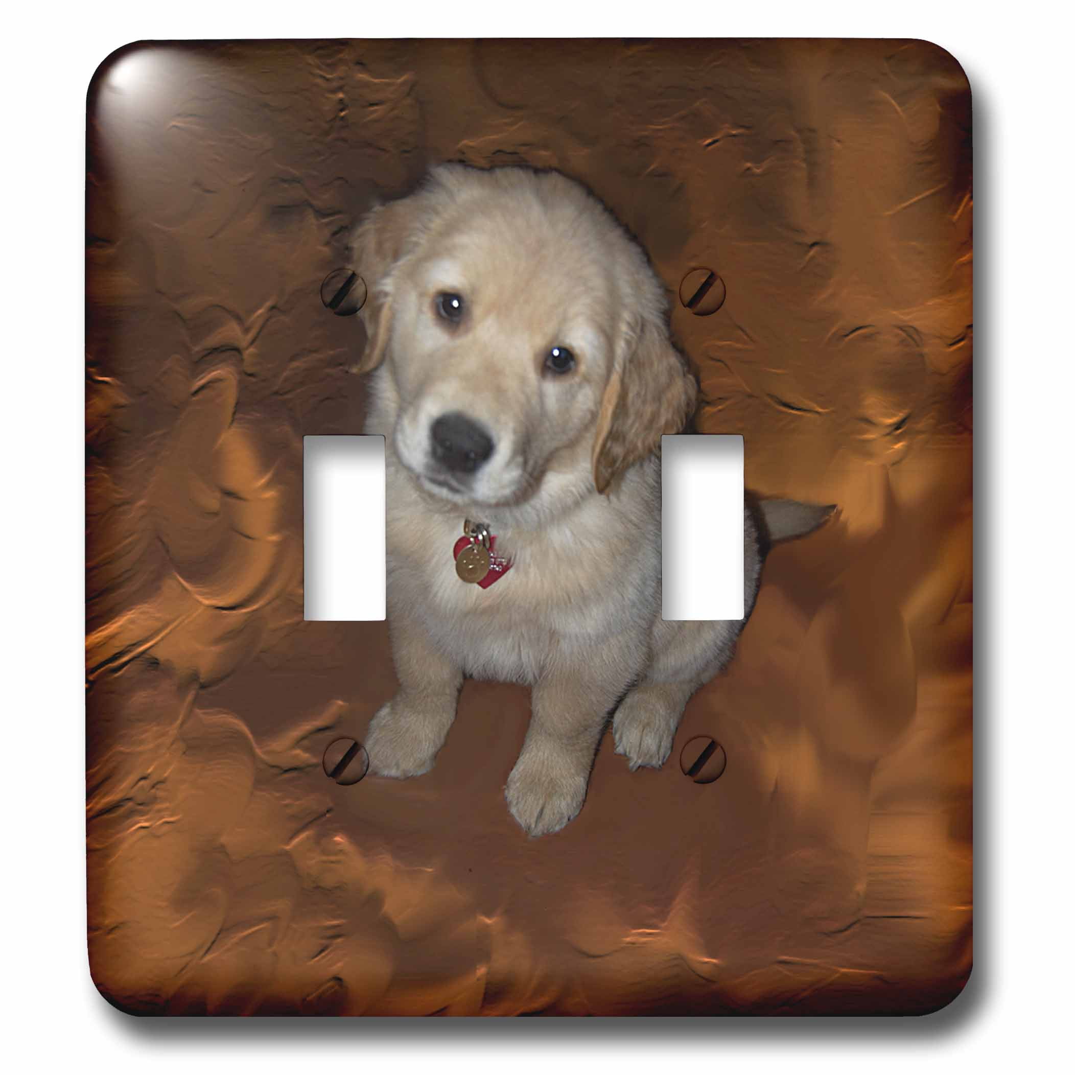 3dRose Golden Retriever Puppy - Double Toggle Switch (lsp_3970_2 ...