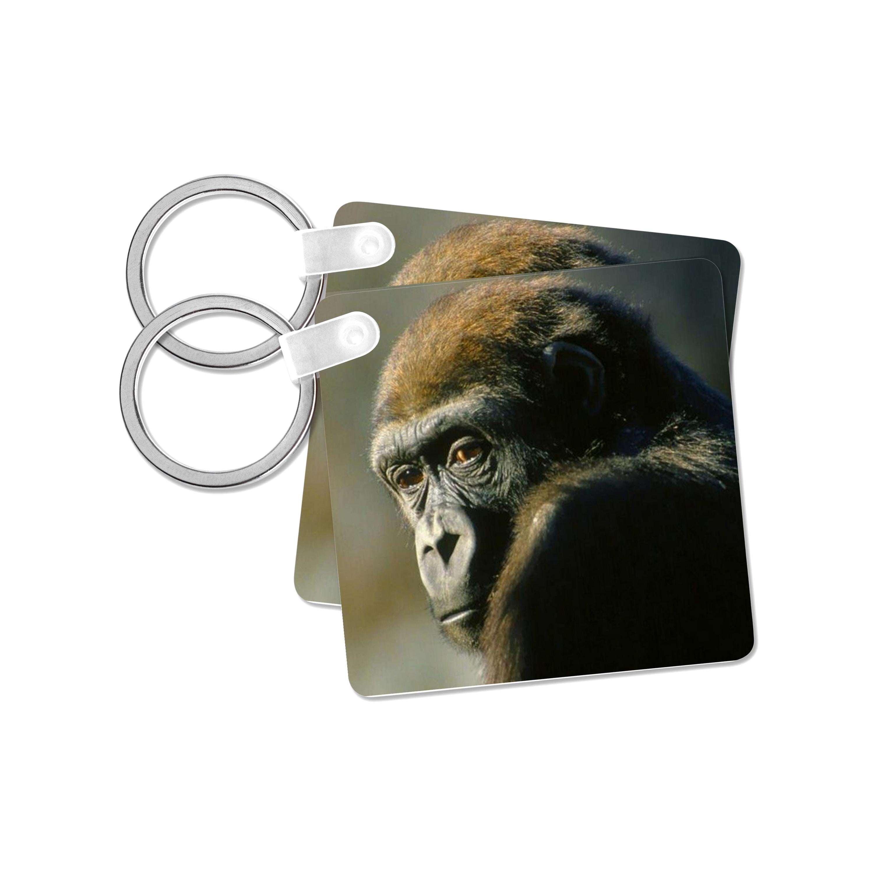 3dRose, Gorilla Portrait, set of 2 Key Chains - Walmart.com