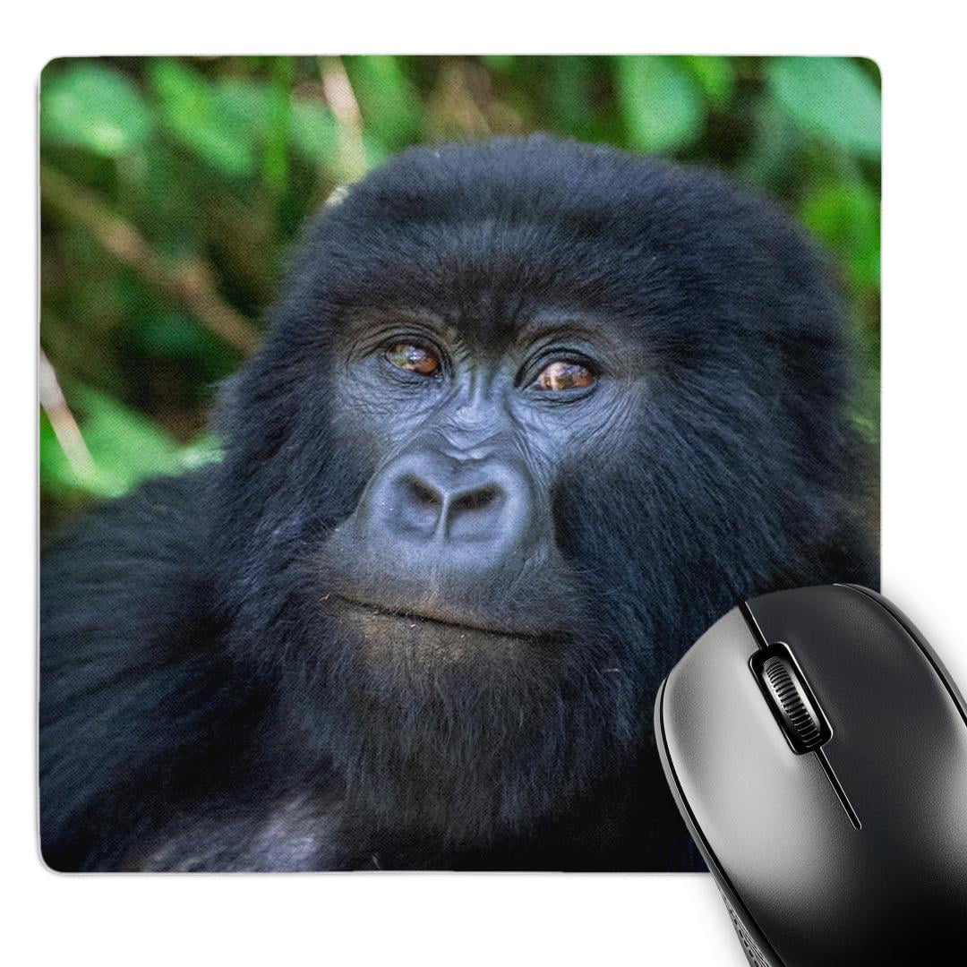 3dRose, Gorilla in the forest, Parc National des Volcans, Rwanda, Mouse ...