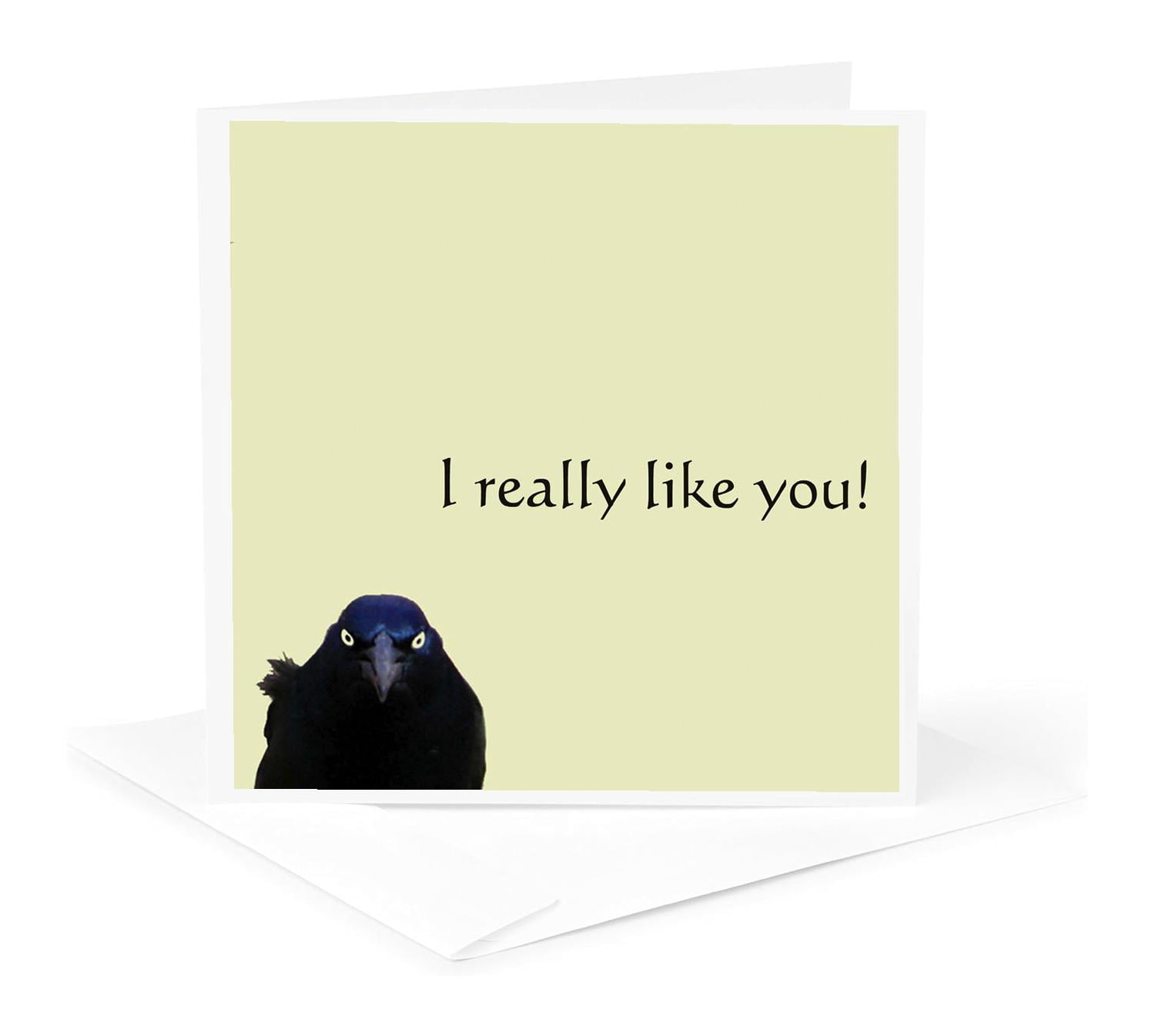 3dRose, Grackle, I really like you, 1 Greeting Card with envelope ...