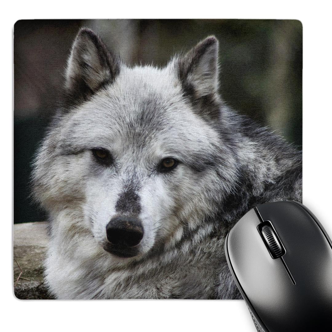 3dRose, Gray Wolf looking straight at you, MousePad - Walmart.com