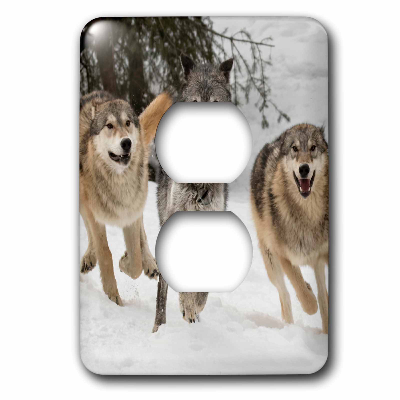 3drose Gray Wolf Pack Behavior In Winter Montana 2 Plug Outlet Cover Lsp 279208 6