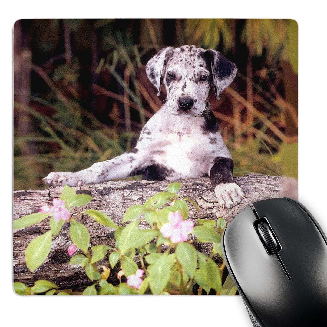 3dRose, Great Dane Puppy, Mouse Pad - Walmart.com