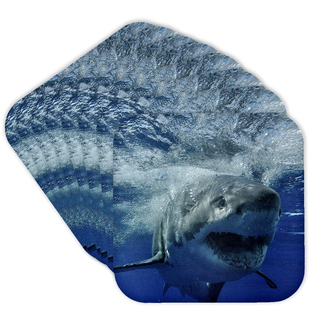 3drose, Great White Shark, Set of 8 Coasters - Soft - Walmart.com