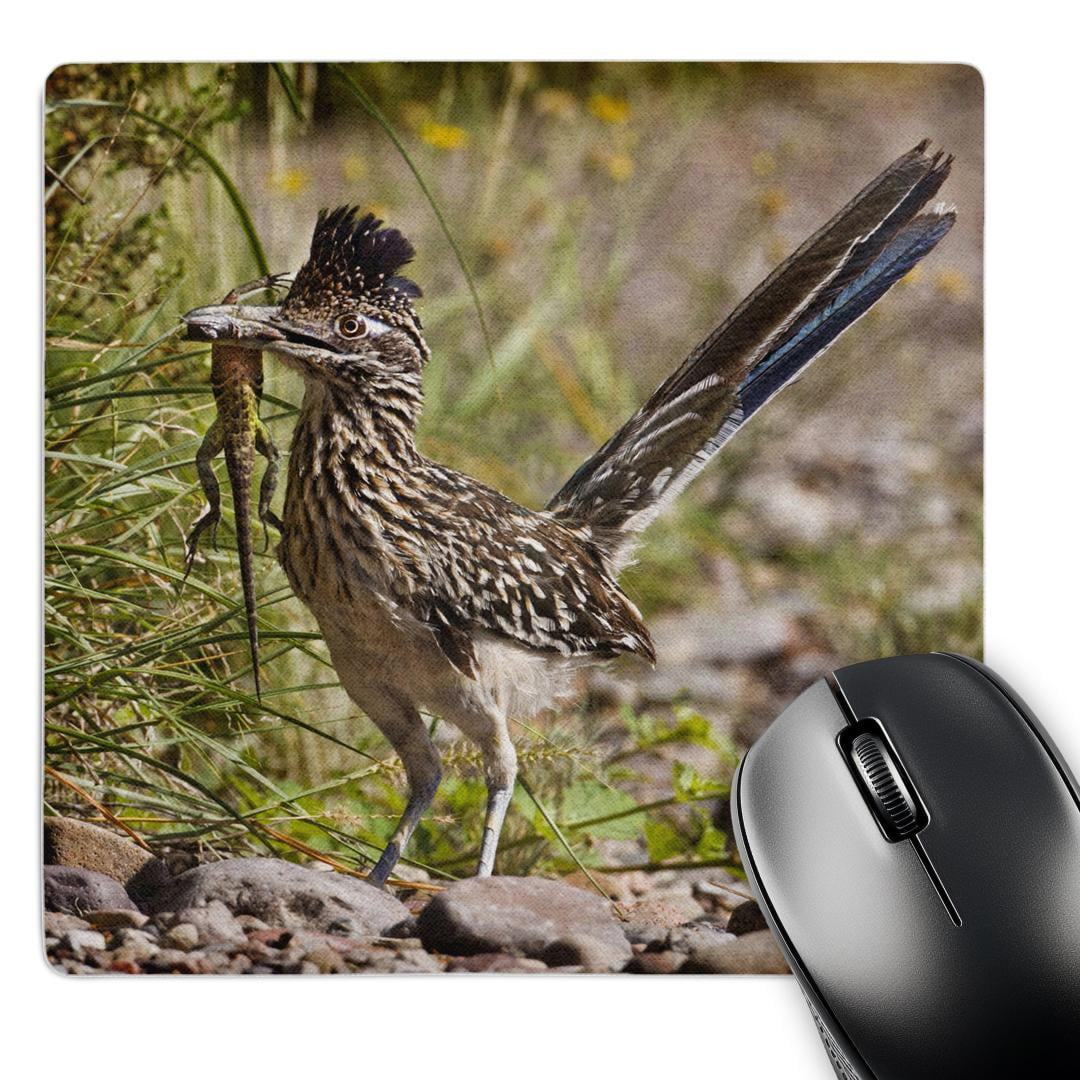 3dRose, Greater Roadrunner bird, Texas, USA - US44 LDI0513 - Larry ...