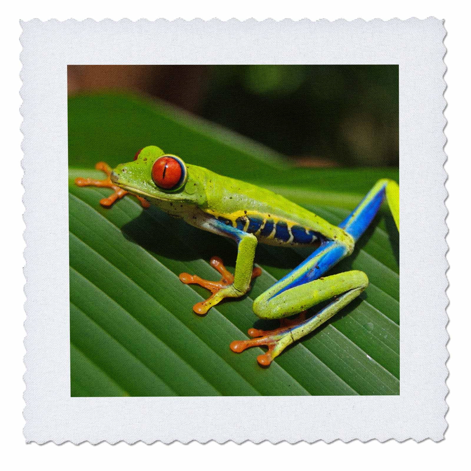 Frog Print Fabric
