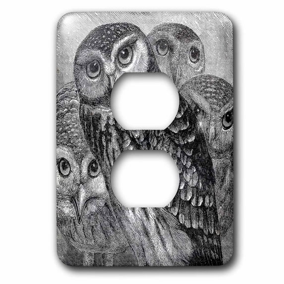 3dRose, Group of Four Owls - black and white owl engraving etching ...
