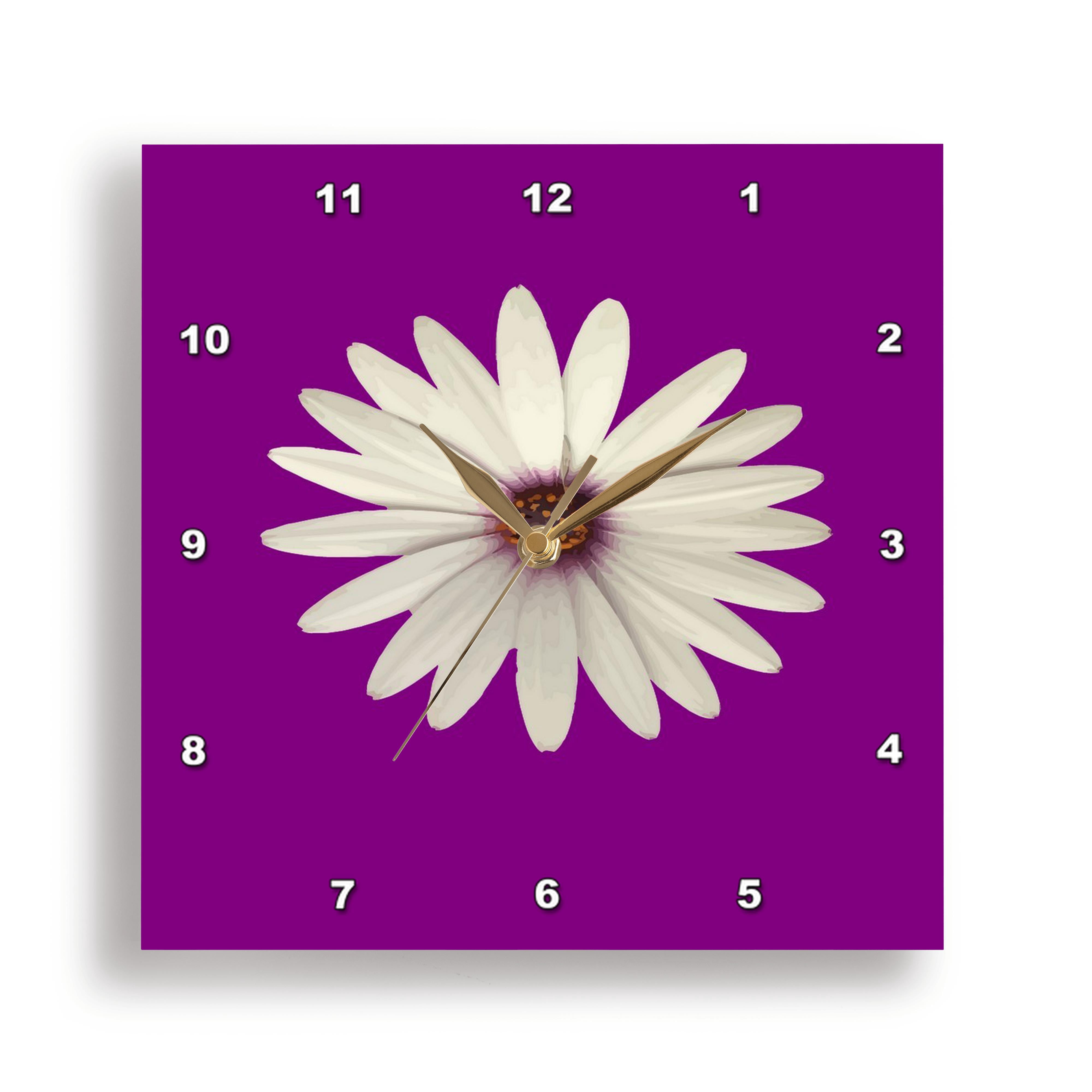 3dRose, Happy Flower White African Daisy Isolated, 15x15 Wall Clock ...