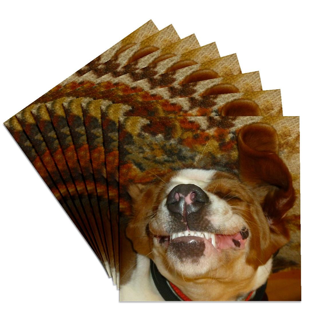 3drose, Happy Smiling Basset Hound, Set of 8 Ceramic Tile Coasters - Walmart.com