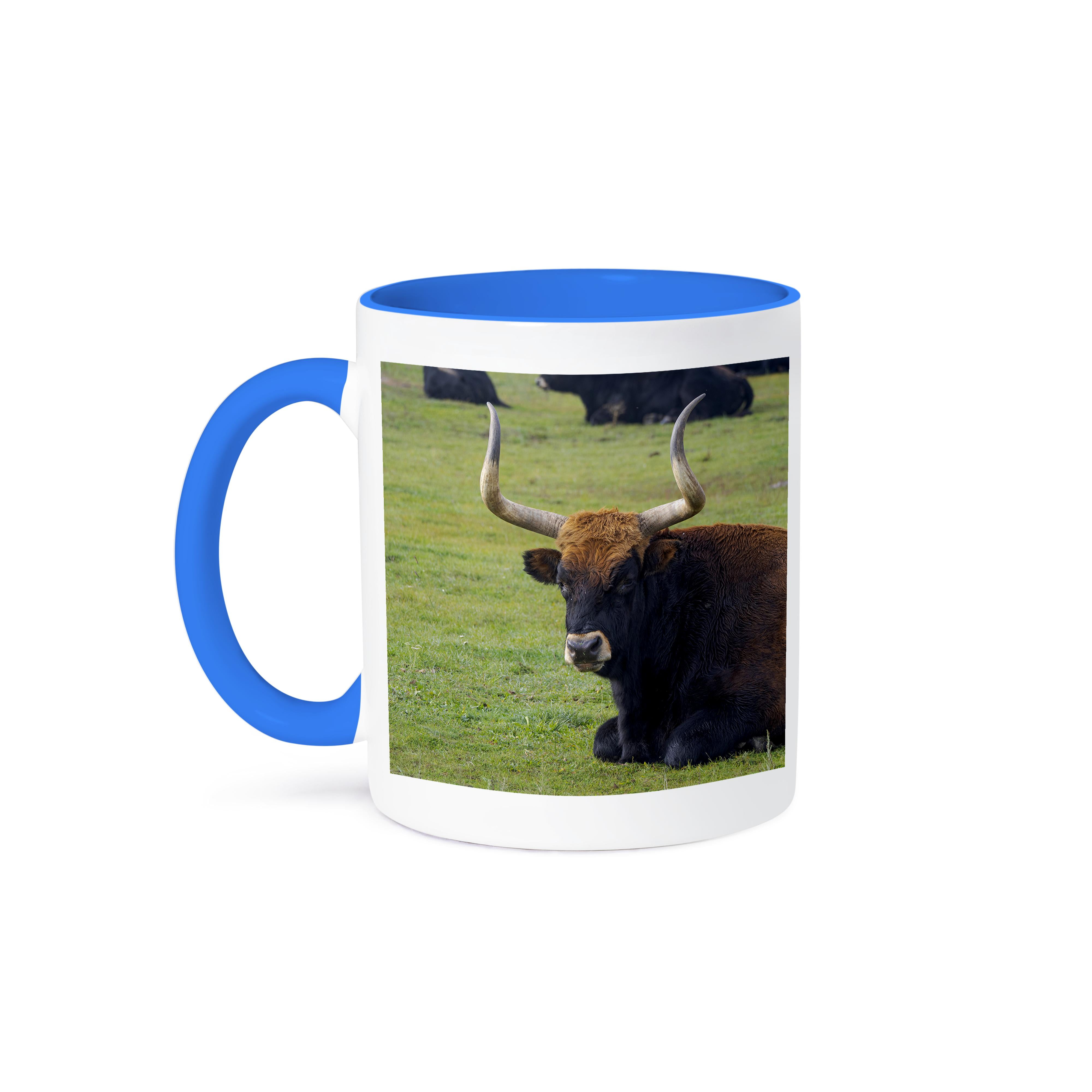 3dRose, Heck Cattle, once extinct breed. National Park Hortobagy ...