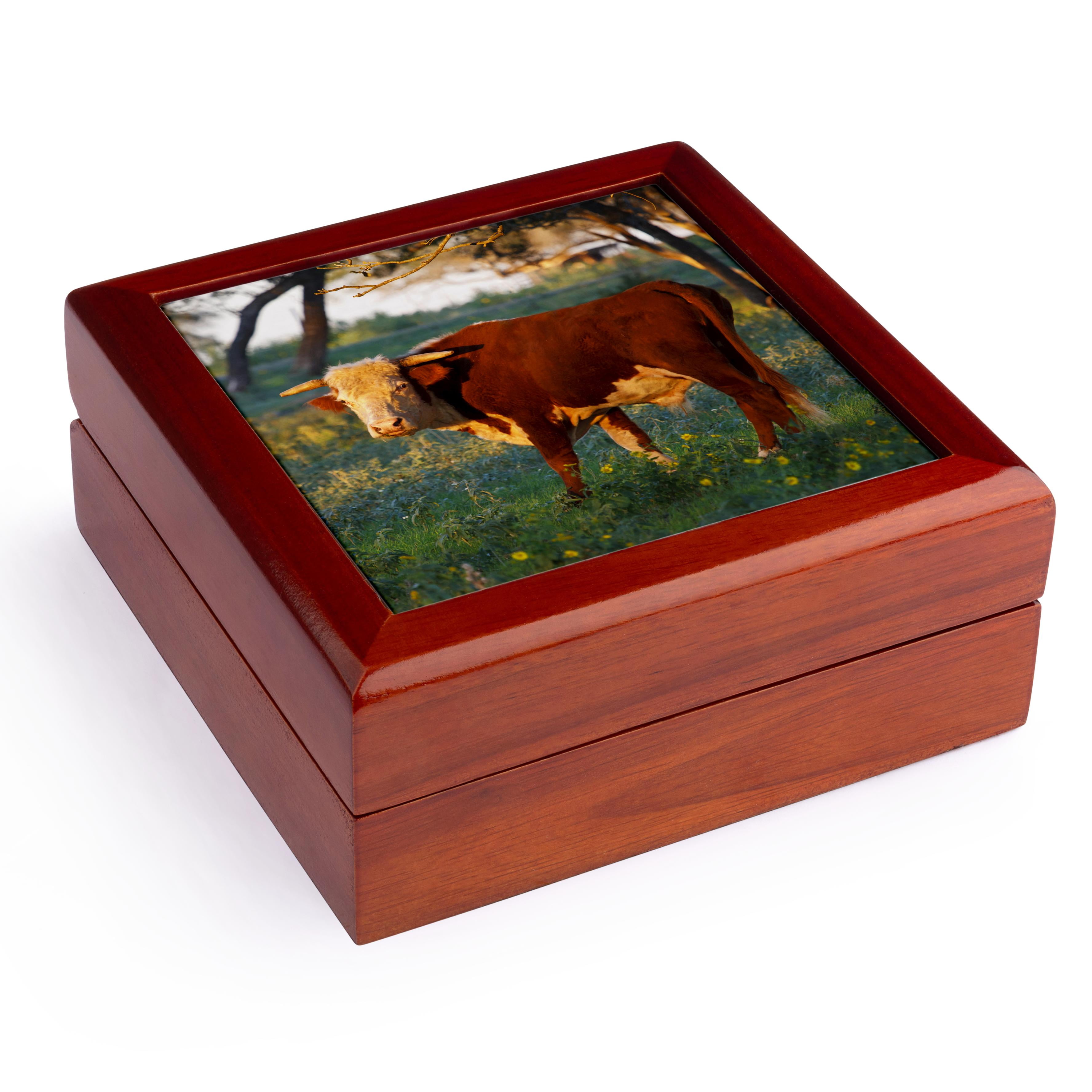 3dRose, Herford bull cow, pasture near Gonzales, Texas, USA - US44 ...