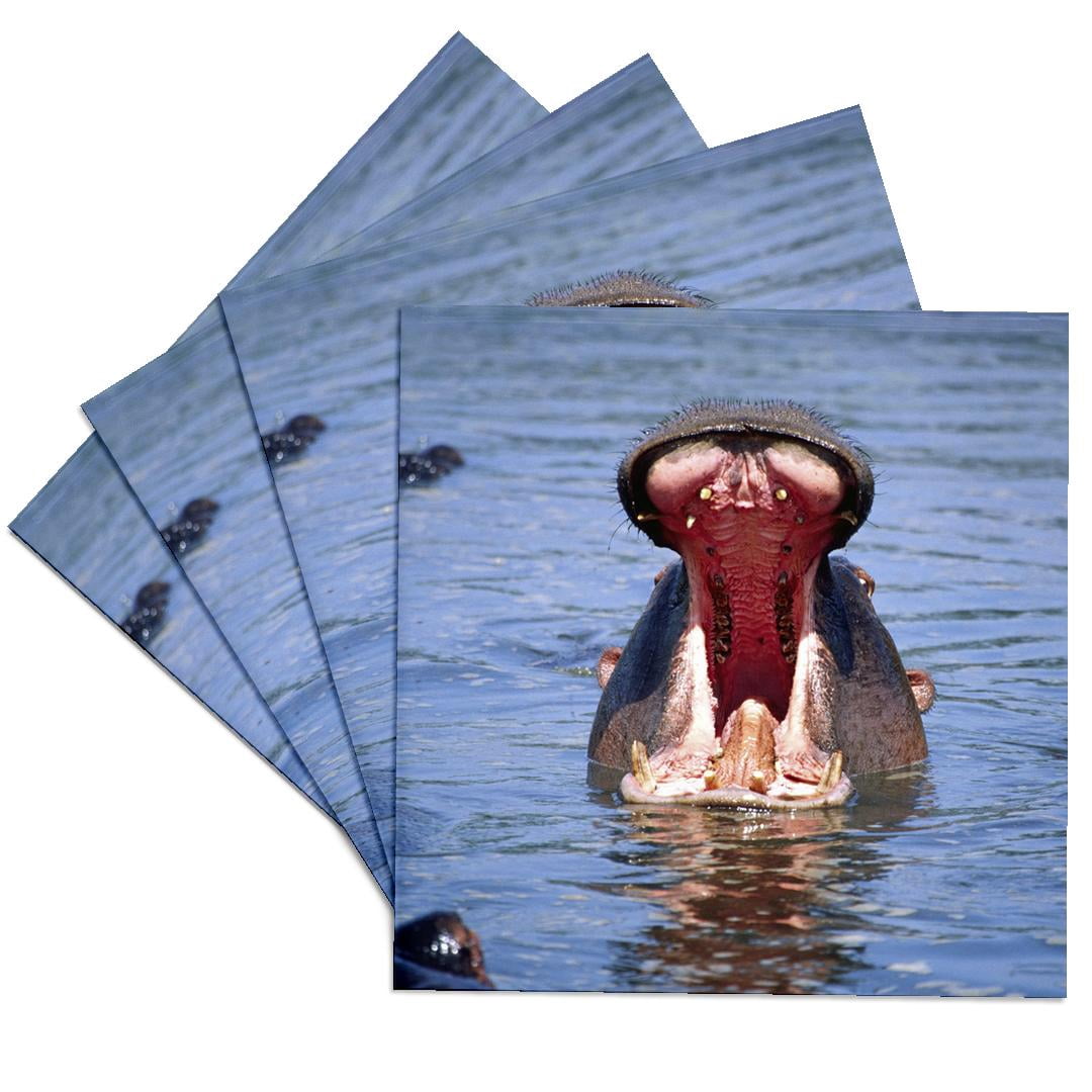 3drose, Hippos with Mouth Agape, Tanzania Africa - Na02 Dno0380 - David ...