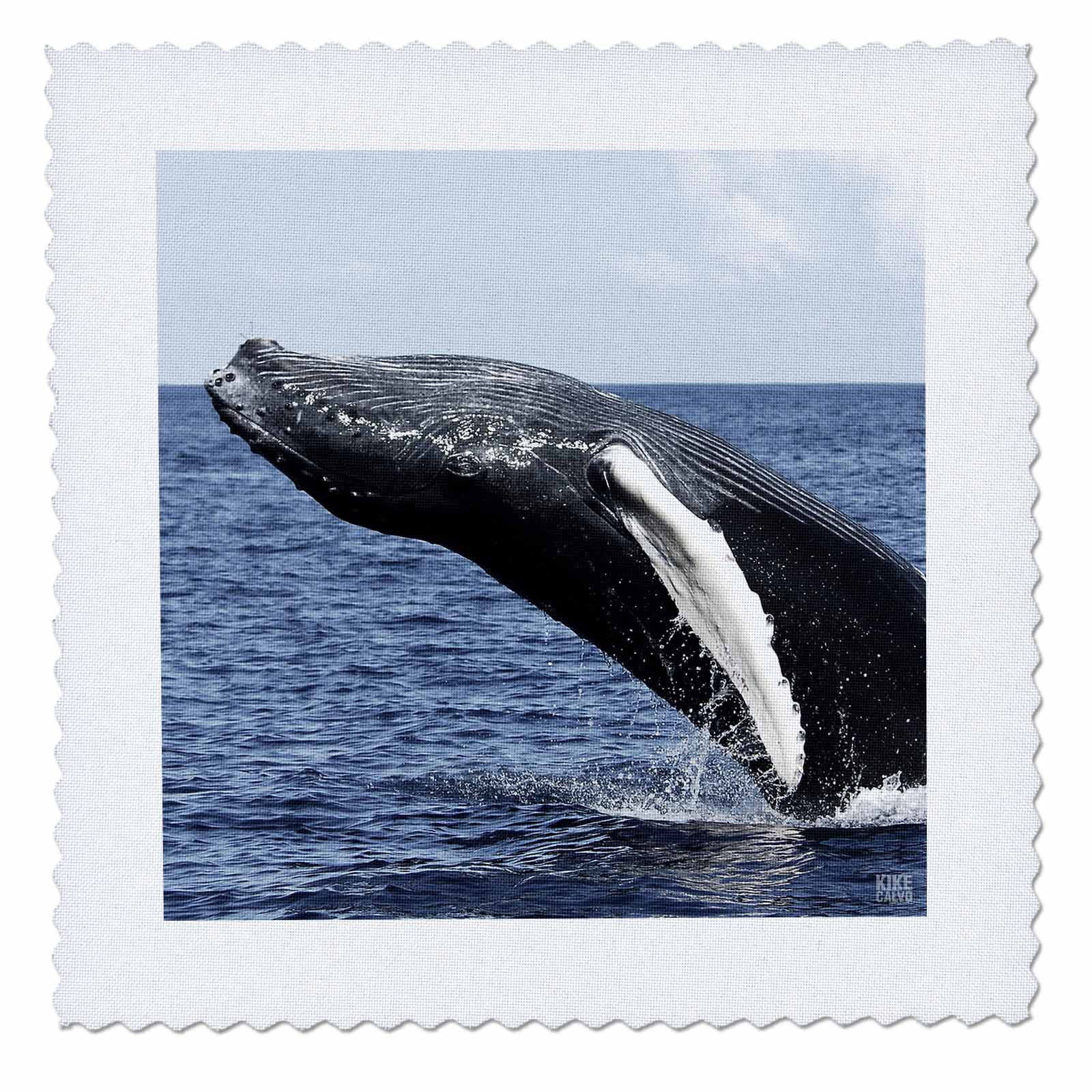 3dRose Humpback Whale - Quilt Square, 10 by 10-inch - Walmart.com