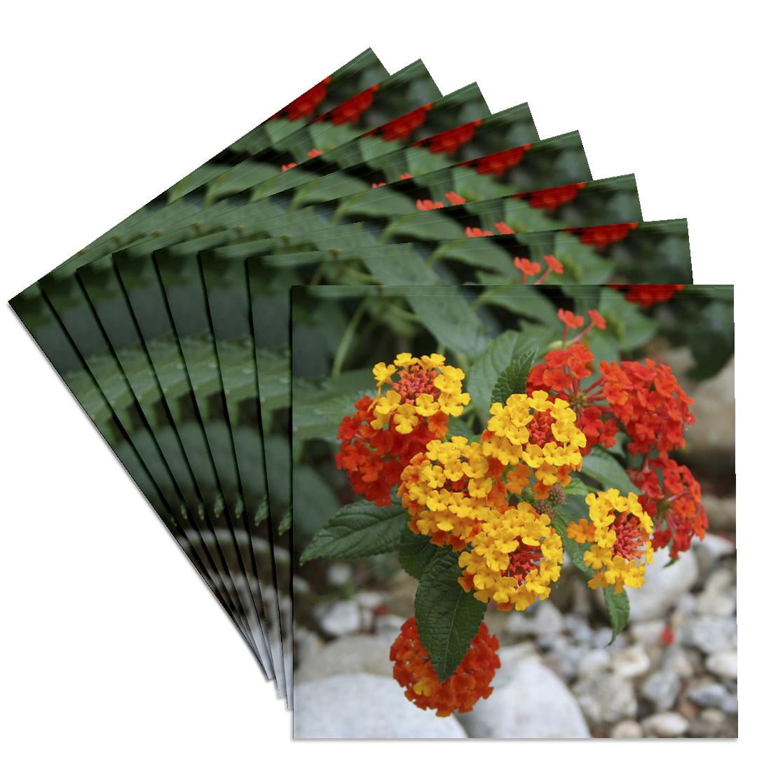 3drose, Image of a Red and Gold Lantana Flower, Set of 8 Ceramic Tile ...