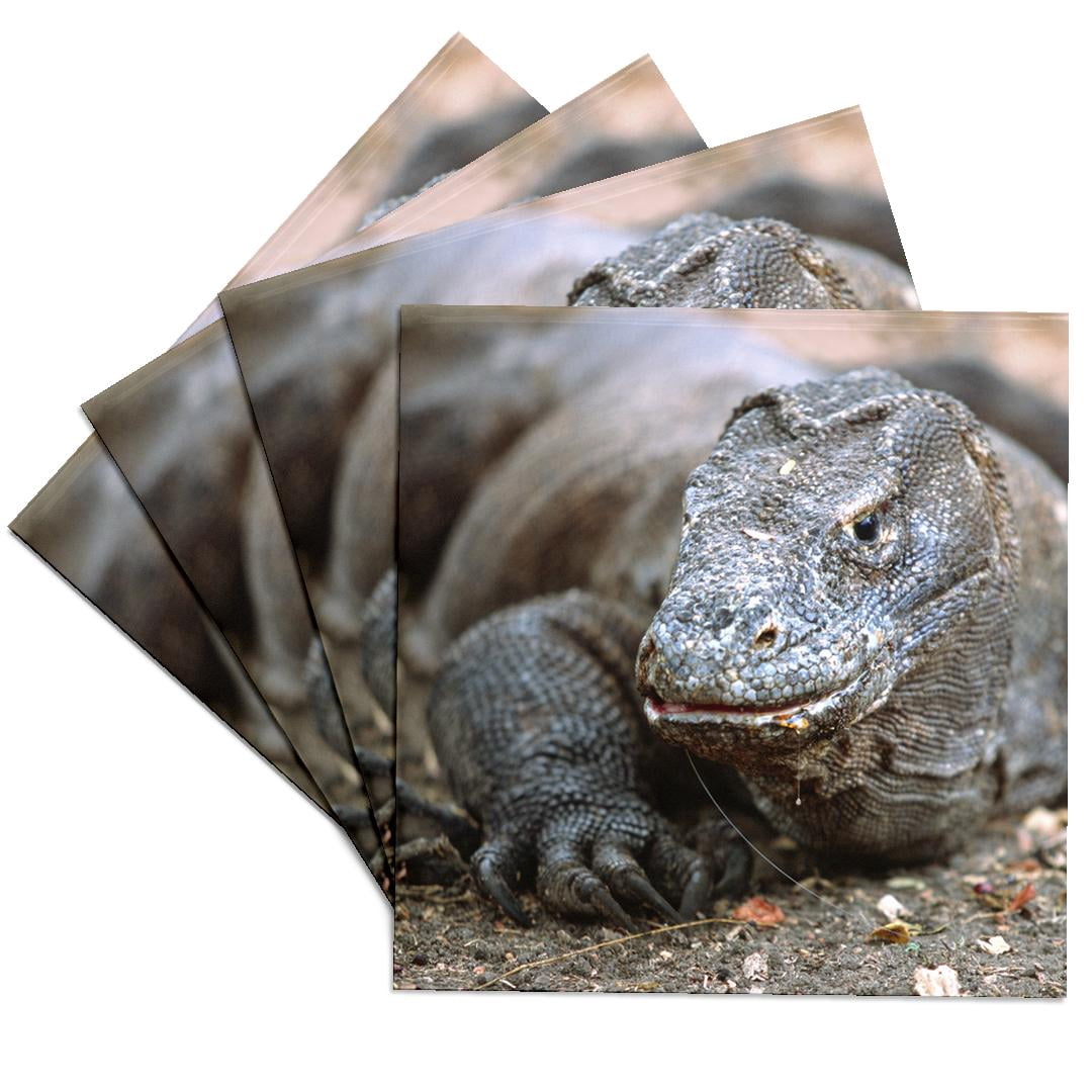 3drose, Indonesia, Sunda Archipelago, Komodo Dragon Lizard-as11 Jst0015 ...