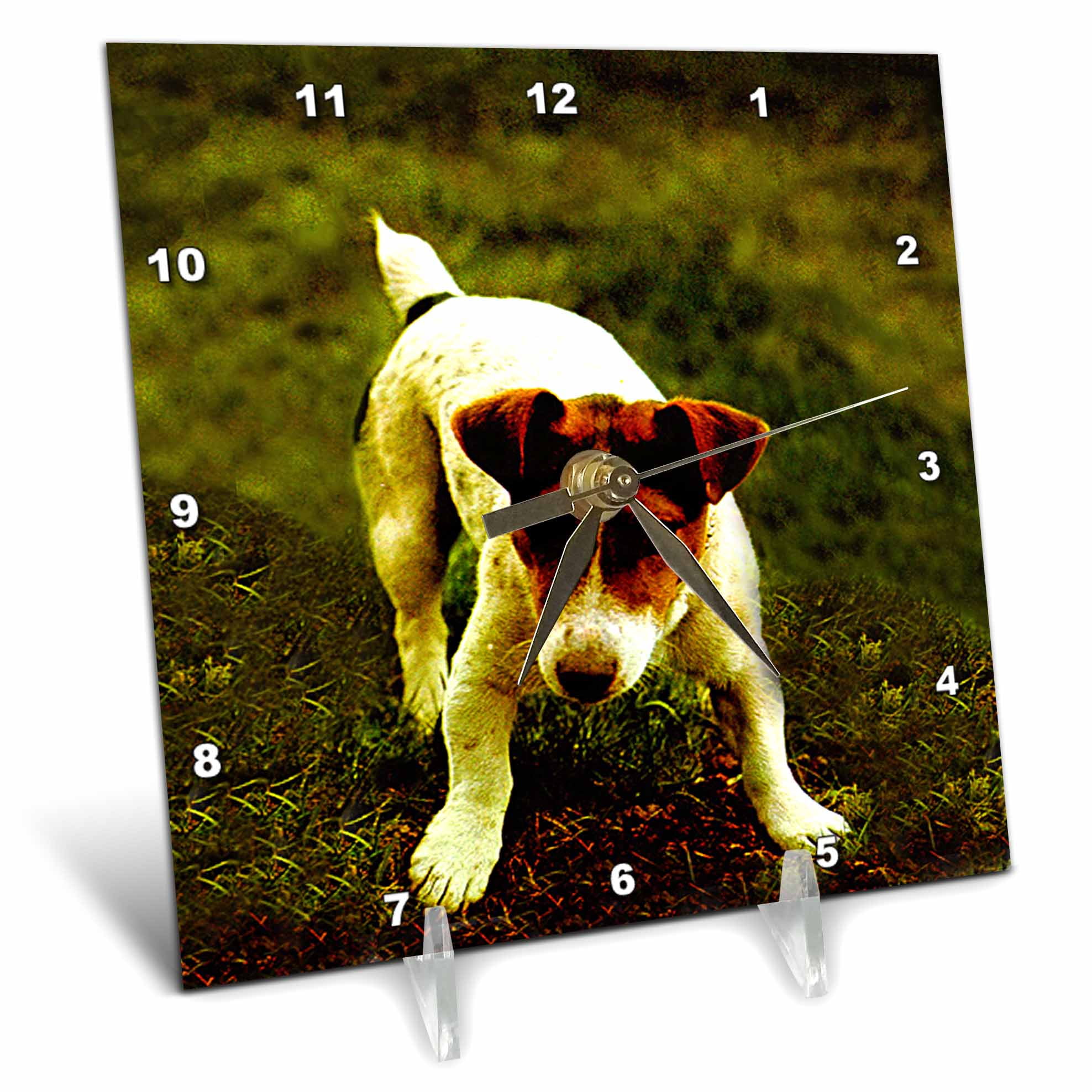 3dRose, Jack Russell Terrier, 6x6 Desk Clock - Walmart.com