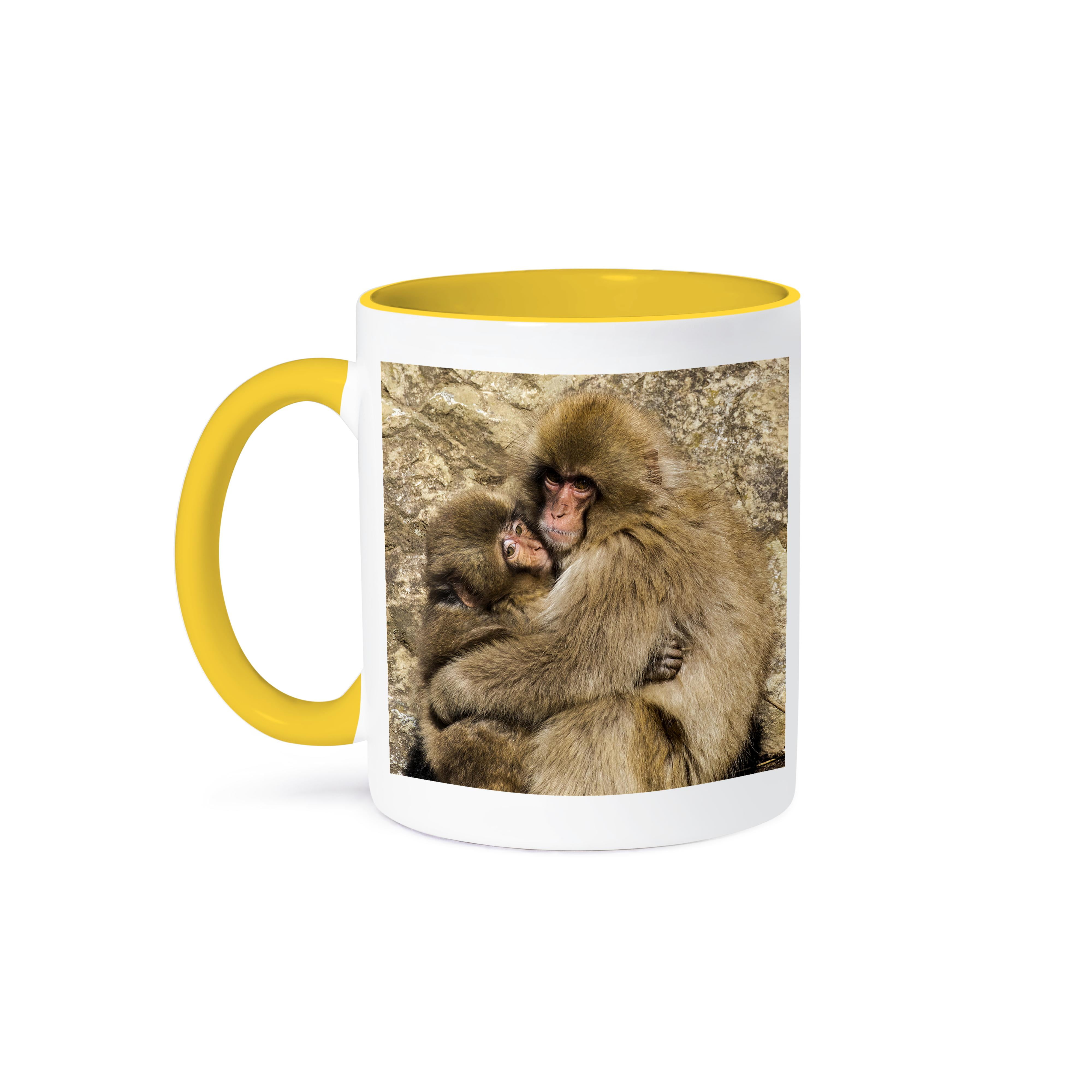 3dRose, Japan, Yamanouchi, Jigokudani Monkey Park, Monkey Cuddling with ...