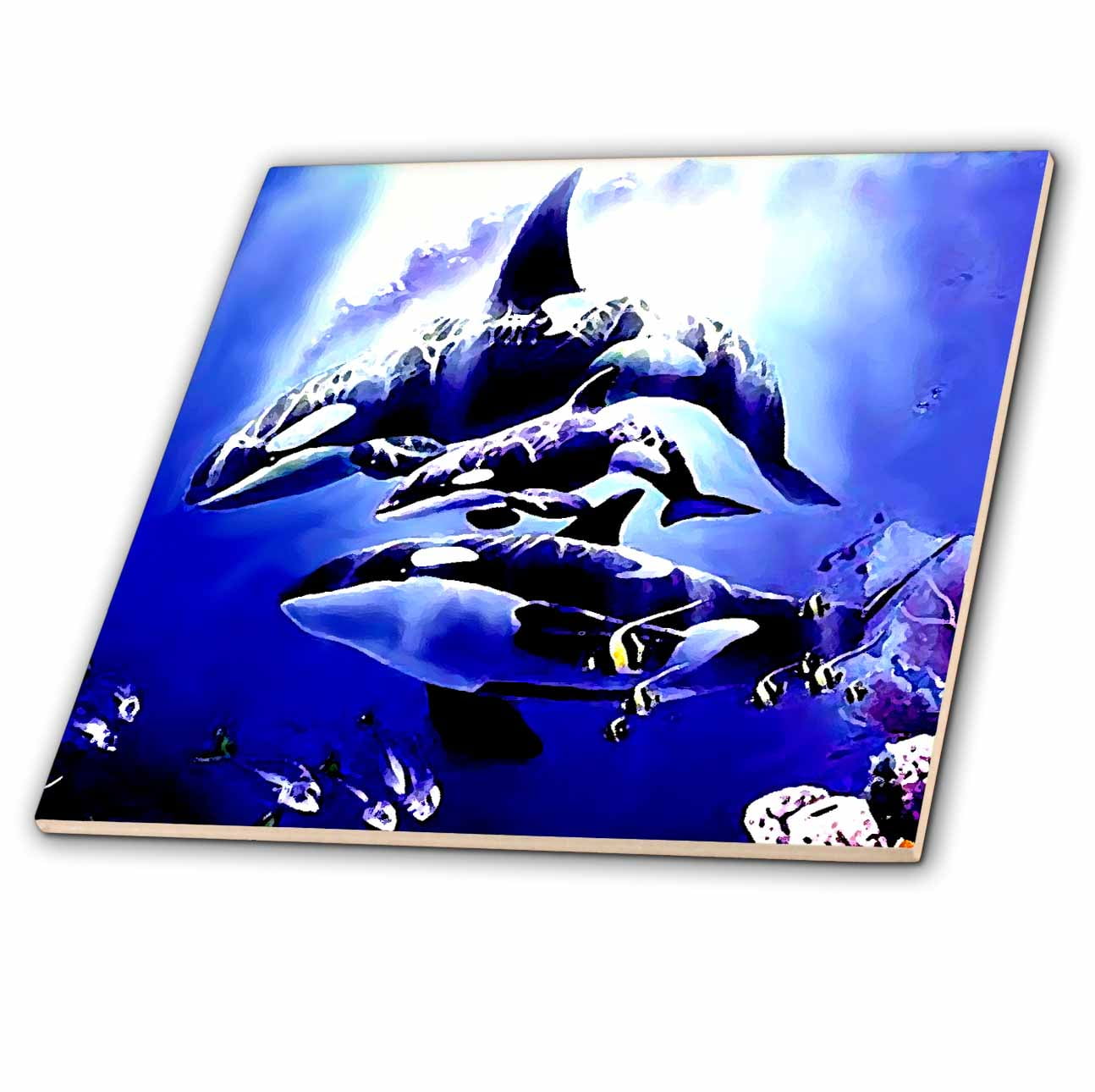 3dRose, Killer Whale, 12 Inch Ceramic Tile - Walmart.com