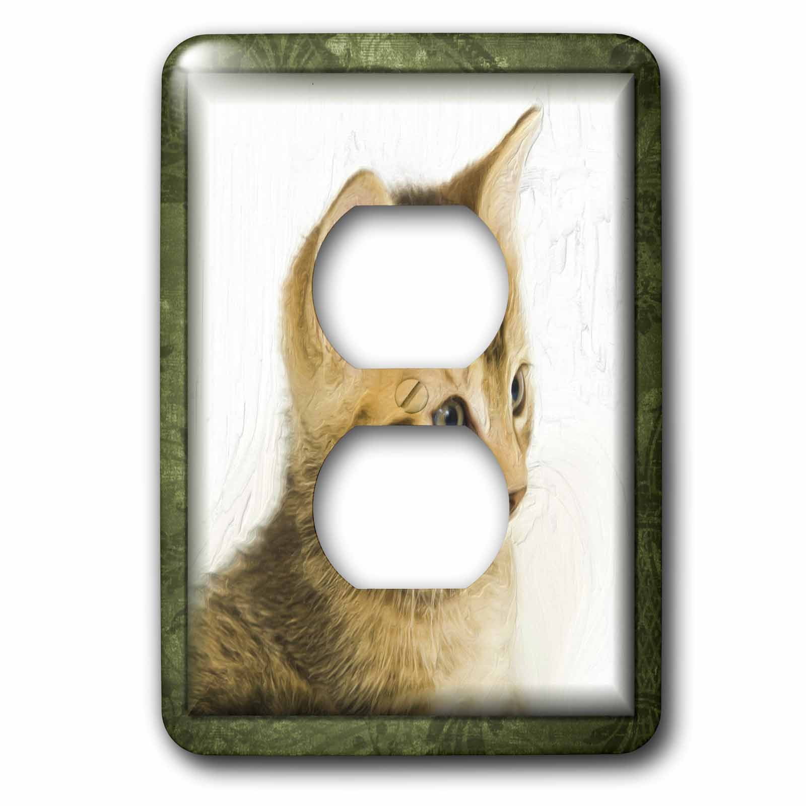 3dRose Kitty Portrait - 2 Plug Outlet Cover (lsp_41309_6) - Walmart ...