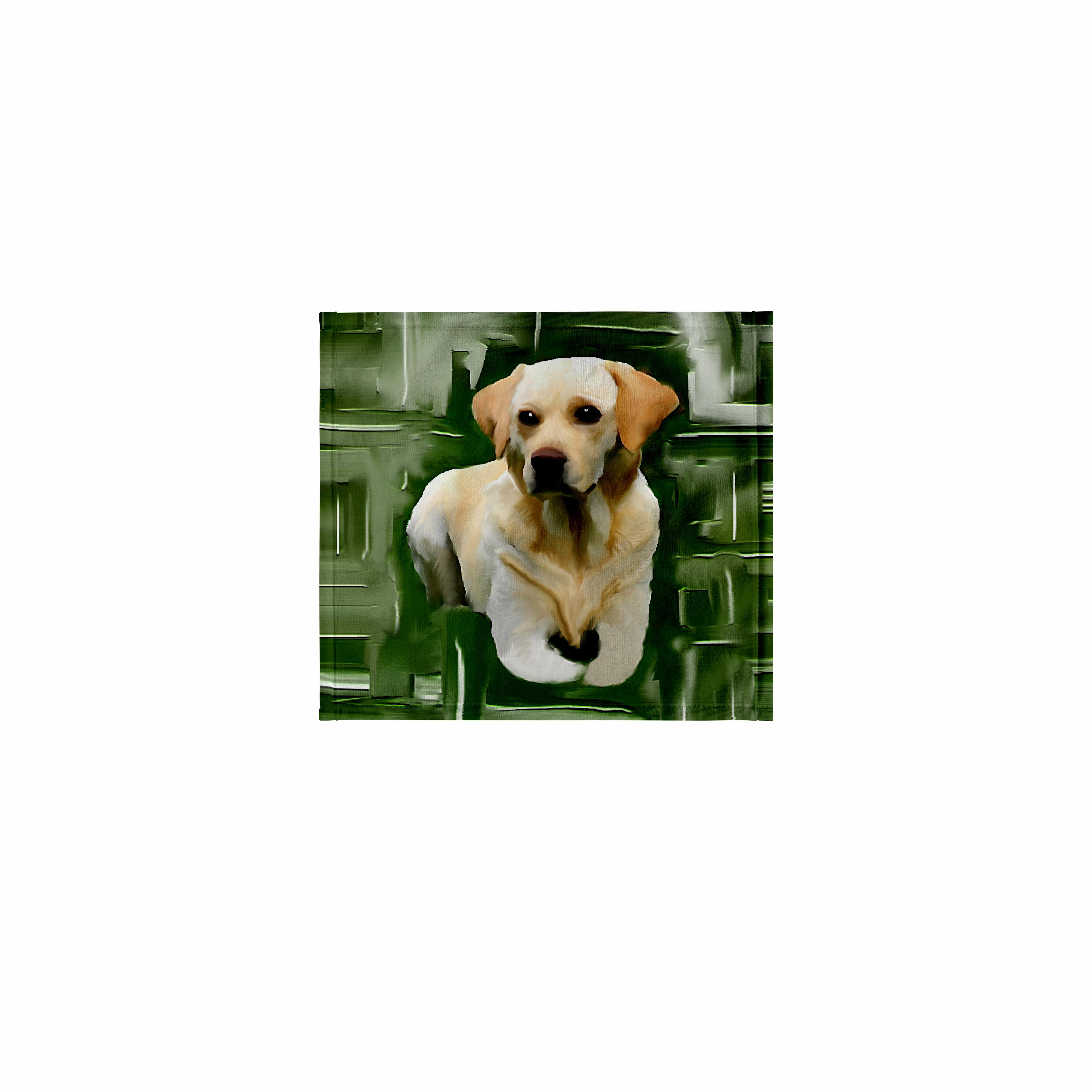 3dRose, Labrador Retriever, 11x12 Wash Cloth for Face and Body ...