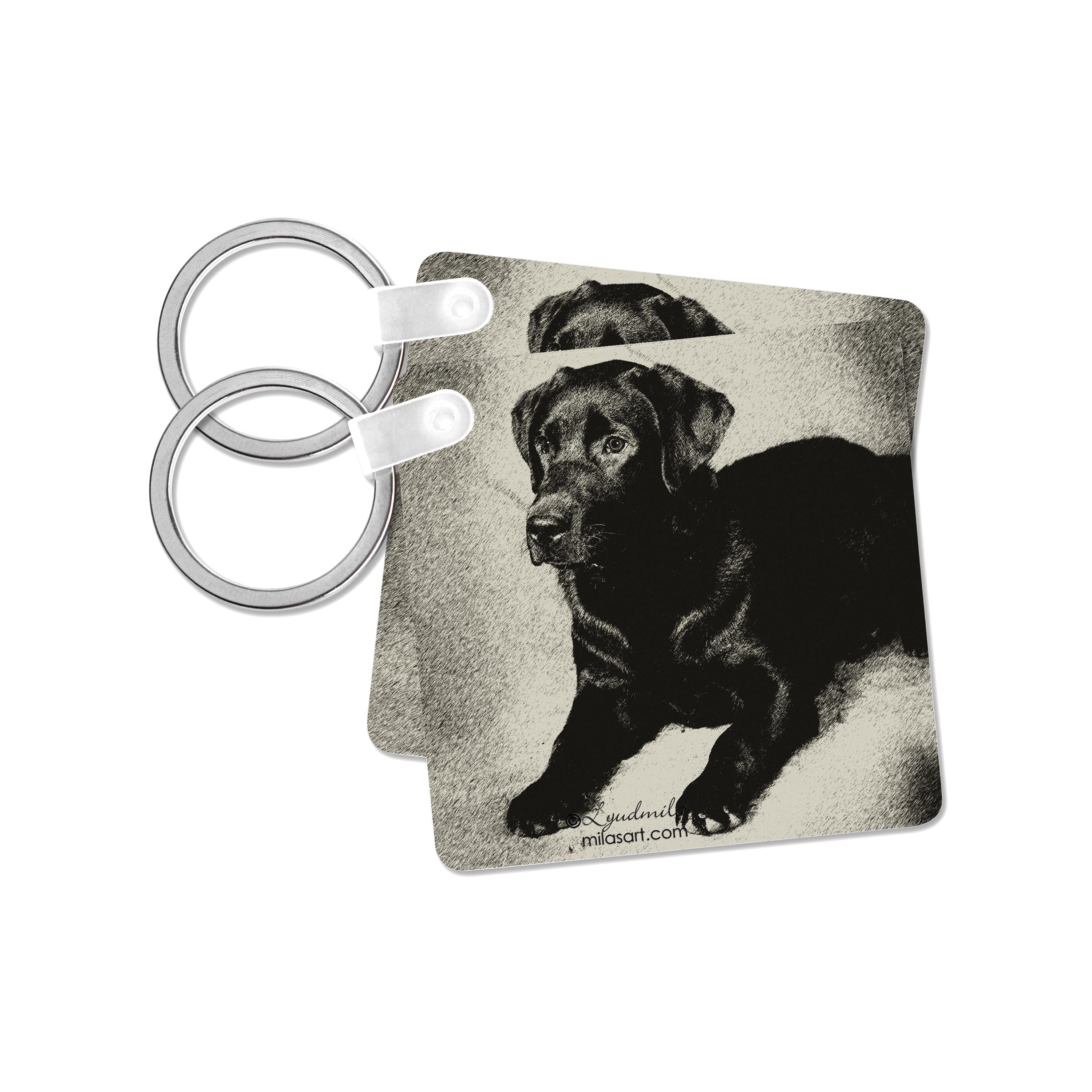 3dRose, Labrador Retriever, set of 2 Key Chains - Walmart.com