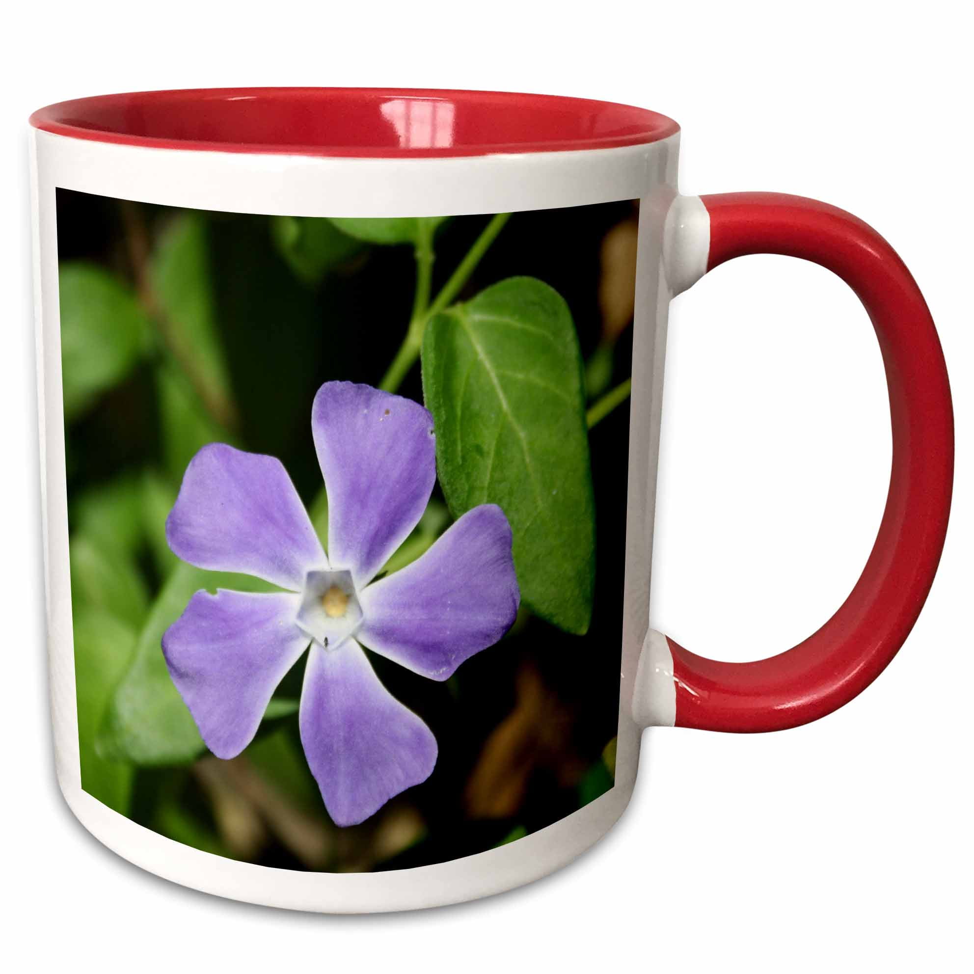 3drose, Lilac Periwinkle Flower, 15oz Two-tone Red Mug - Walmart.com