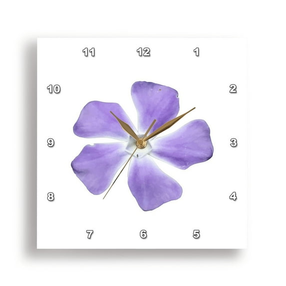 3dRose, Lilac Periwinkle Flower Vector Cut Out, 10x10 Wall Clock ...