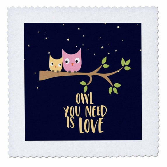 3dRose, Little Birds Animals at Night - Owl You Need is Love, 10x10 ...