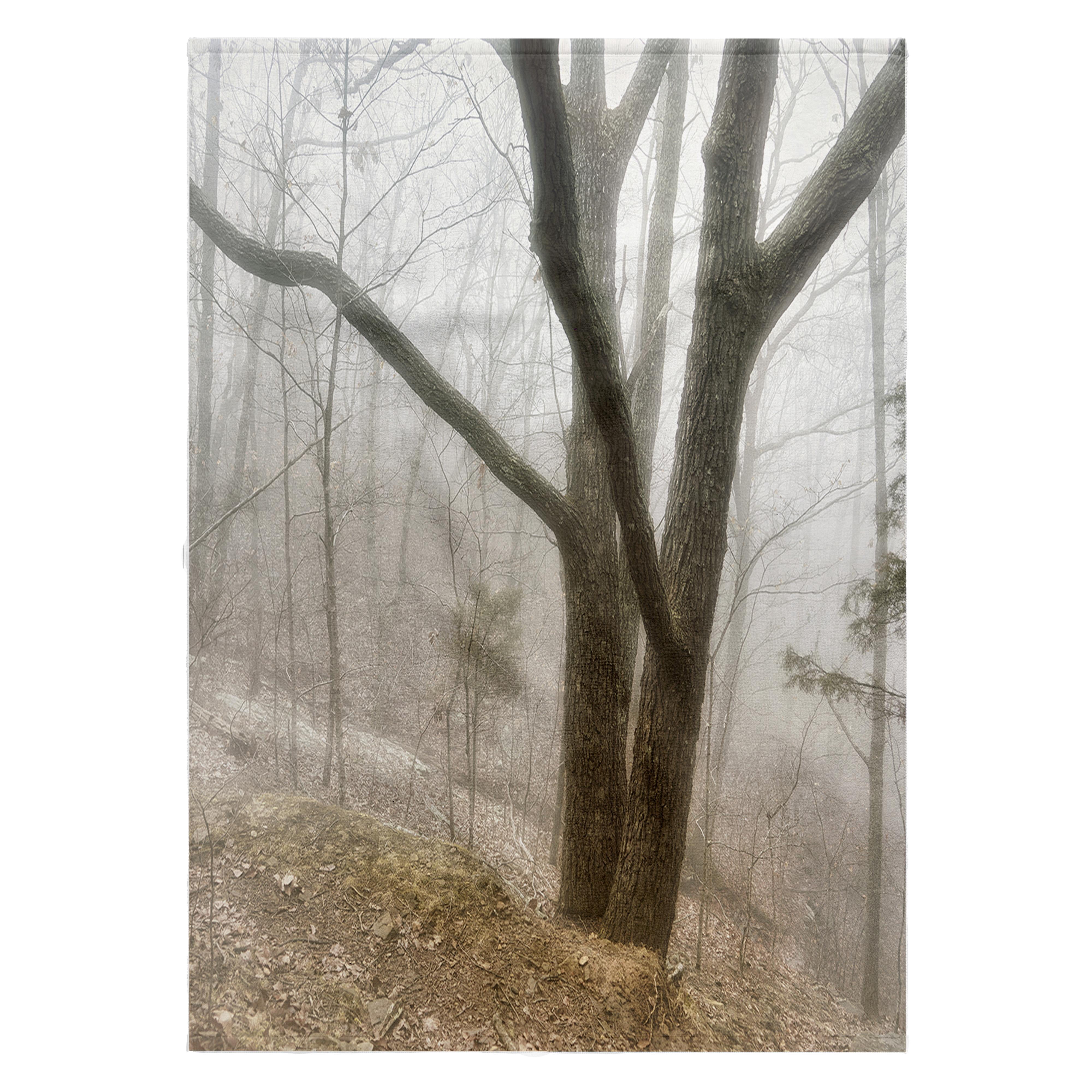 3dRose, Lone Tree in the Mist in Monte Sano State Park, 22x30 Bath Hand ...