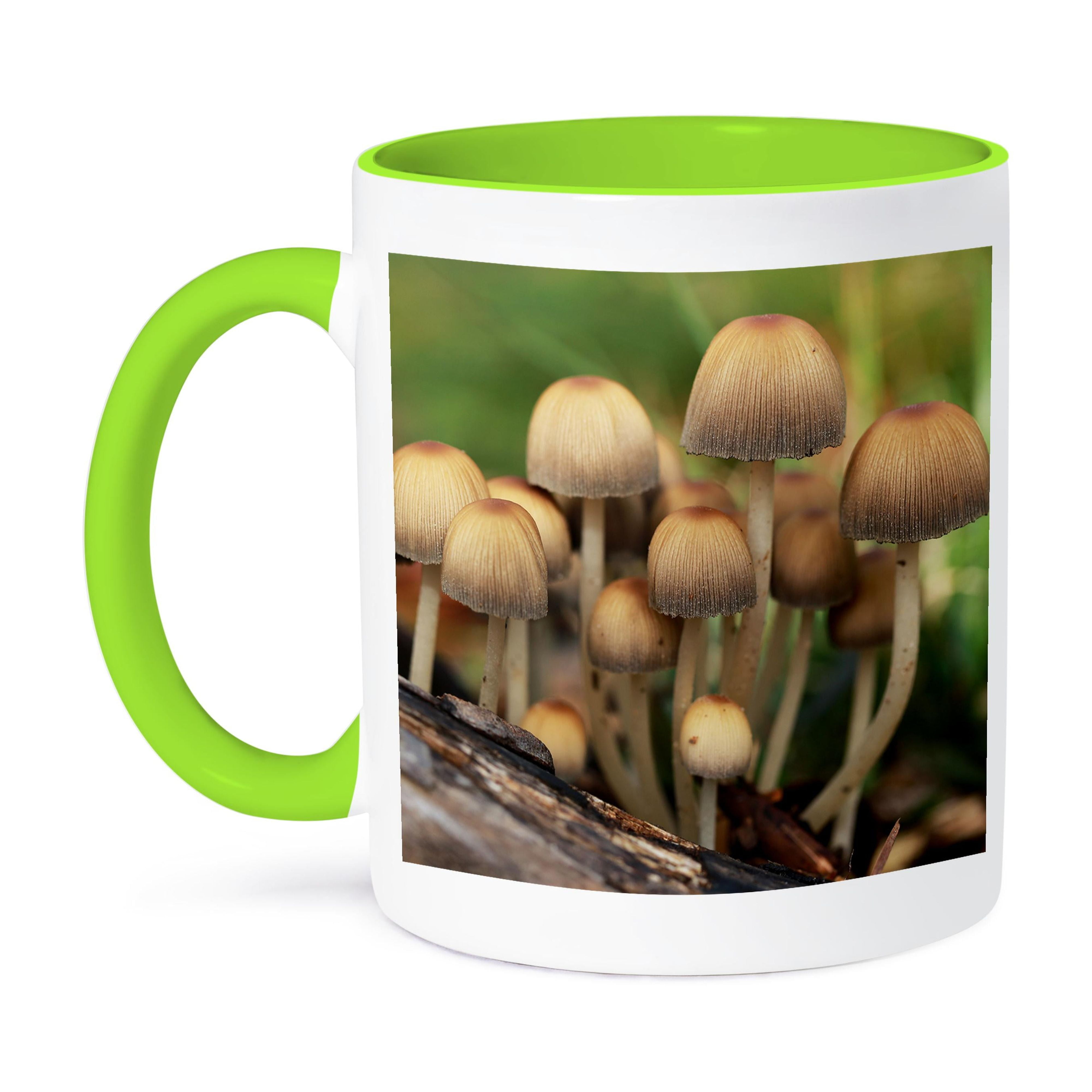 3dRose, Macro photo of coprinellus micaceus growing on a rotting stump ...