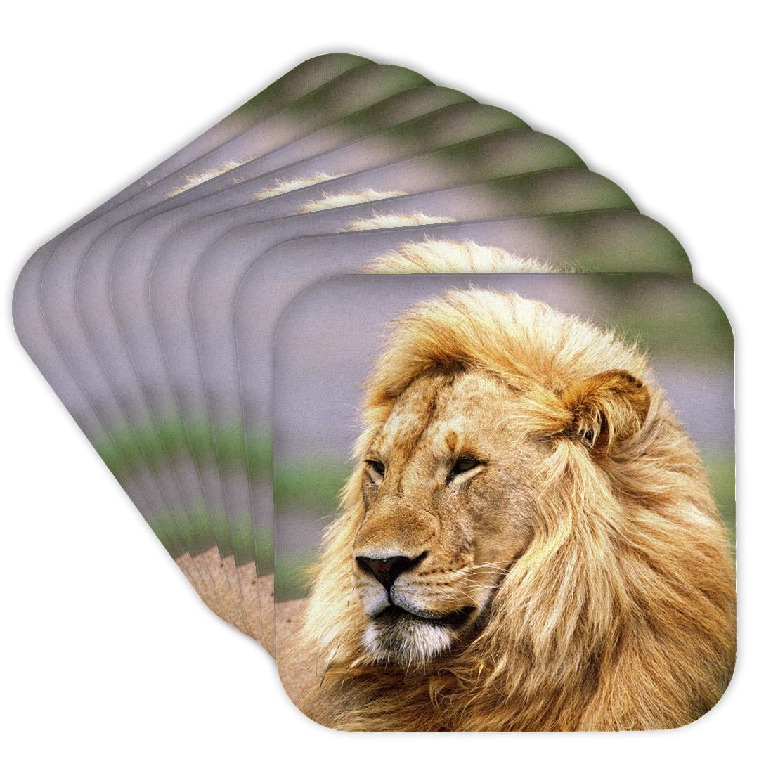 3dRose, Male African Lion, Tanzania Africa - NA02 DNO0332 - David ...