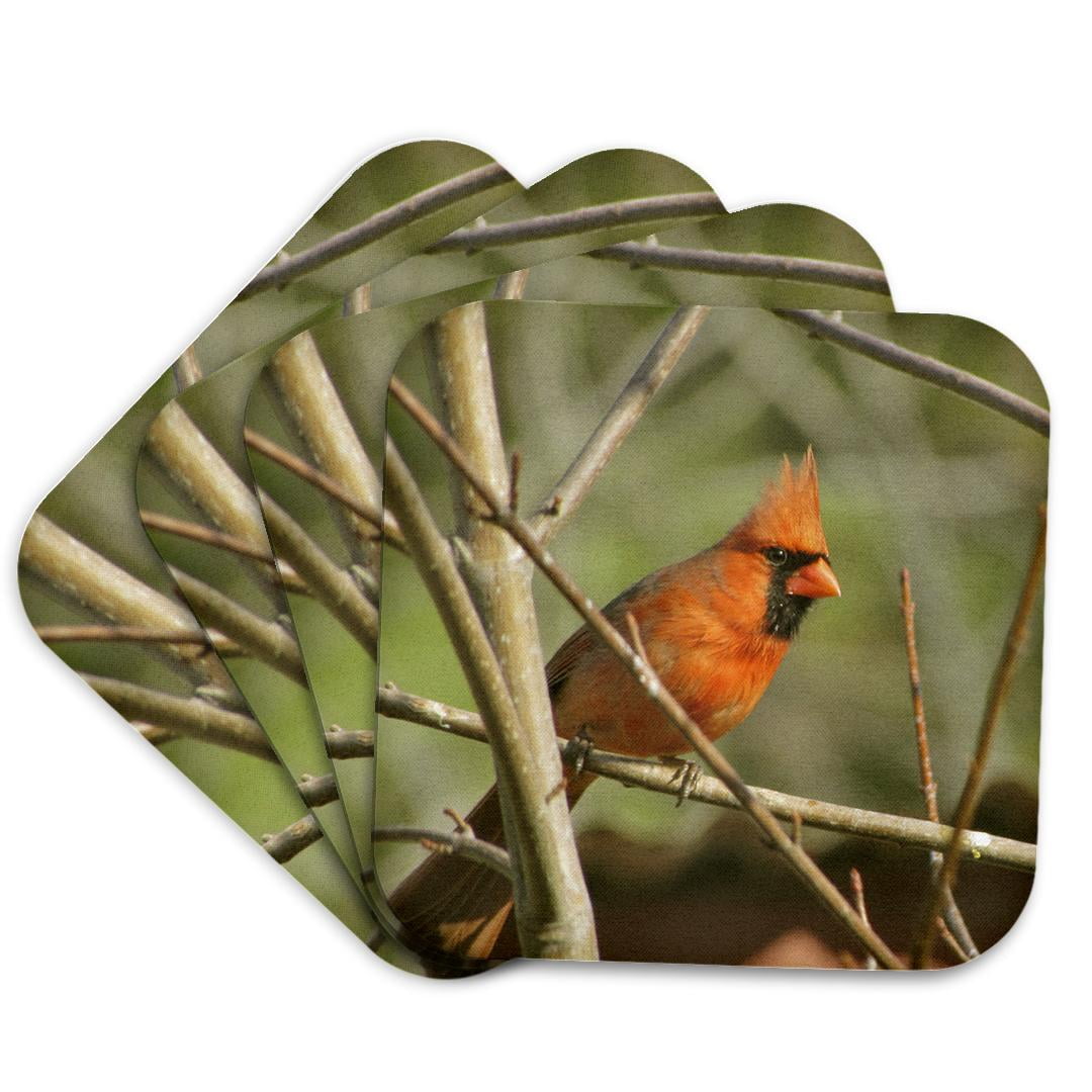 3dRose, Male Cardinal, Set of 4 Coasters - Soft - Walmart.com