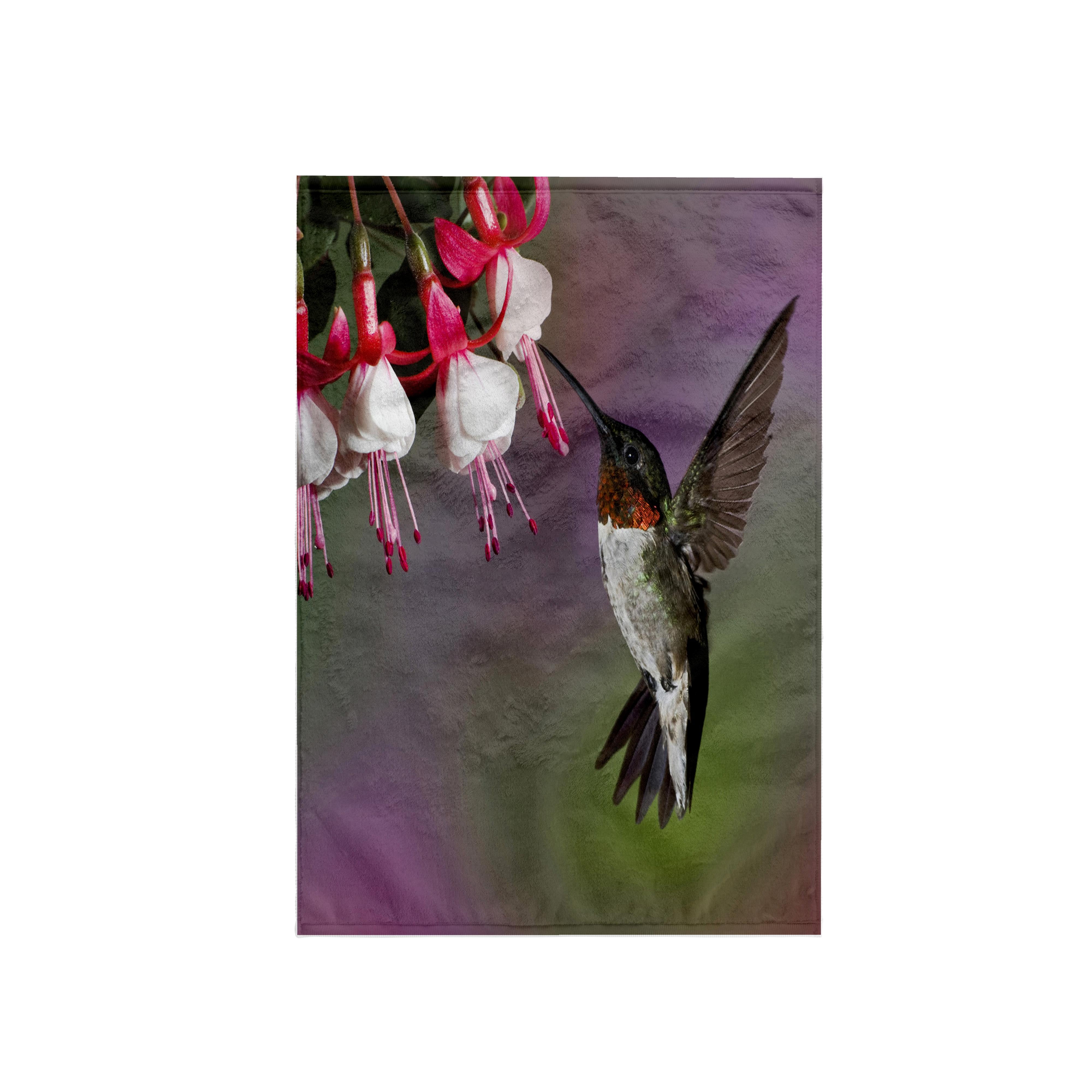 3dRose, Male Ruby throated Hummingbird, Kentucky - NA02 AJE0270 - Adam ...