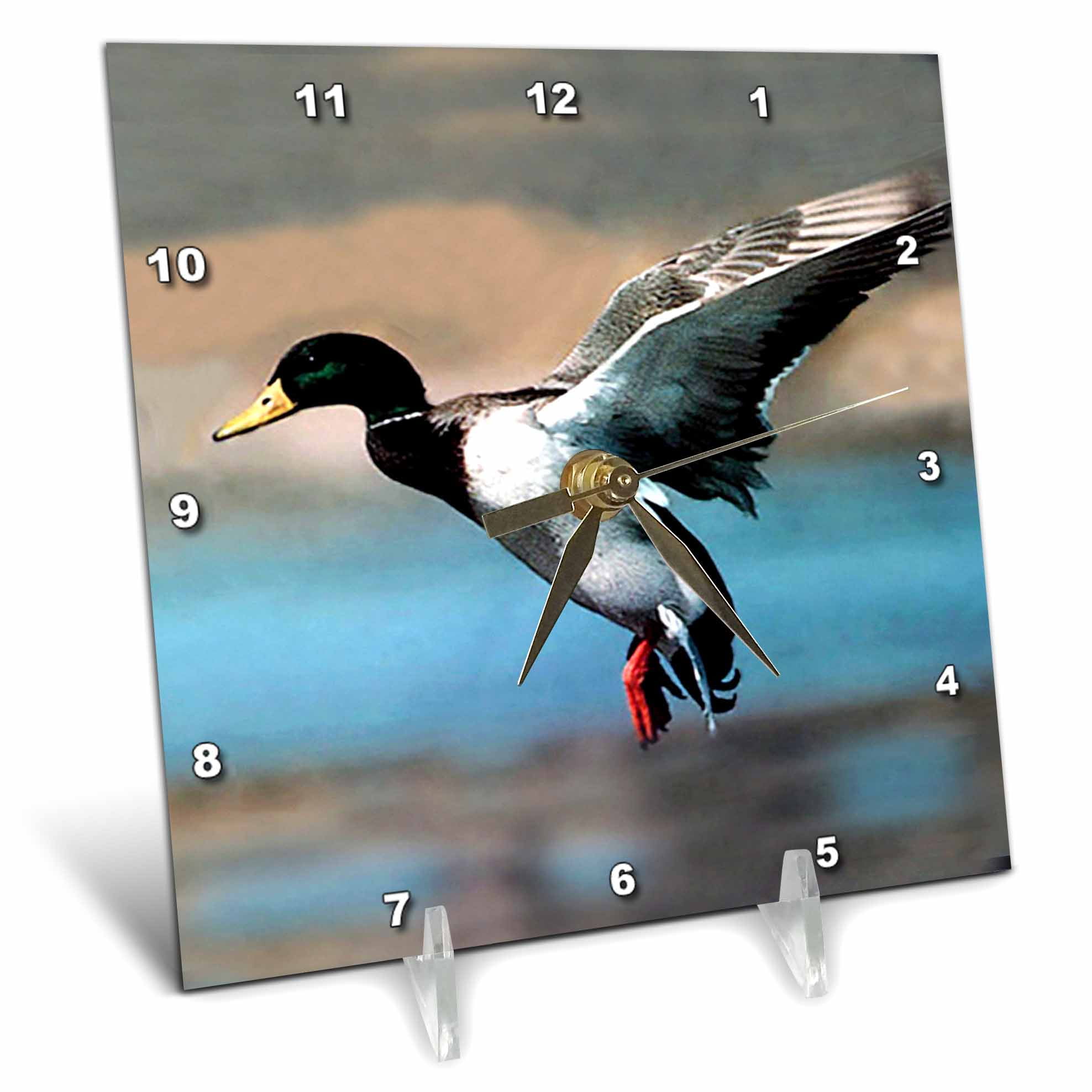 3dRose, Mallard Duck, 6x6 Desk Clock - Walmart.com