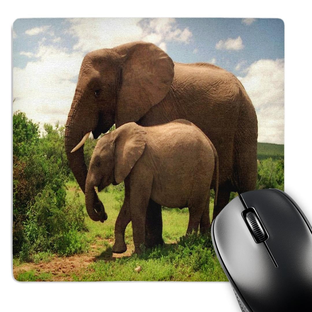 3dRose, Mama n Baby Elephants In Wild, MousePad - Walmart.com