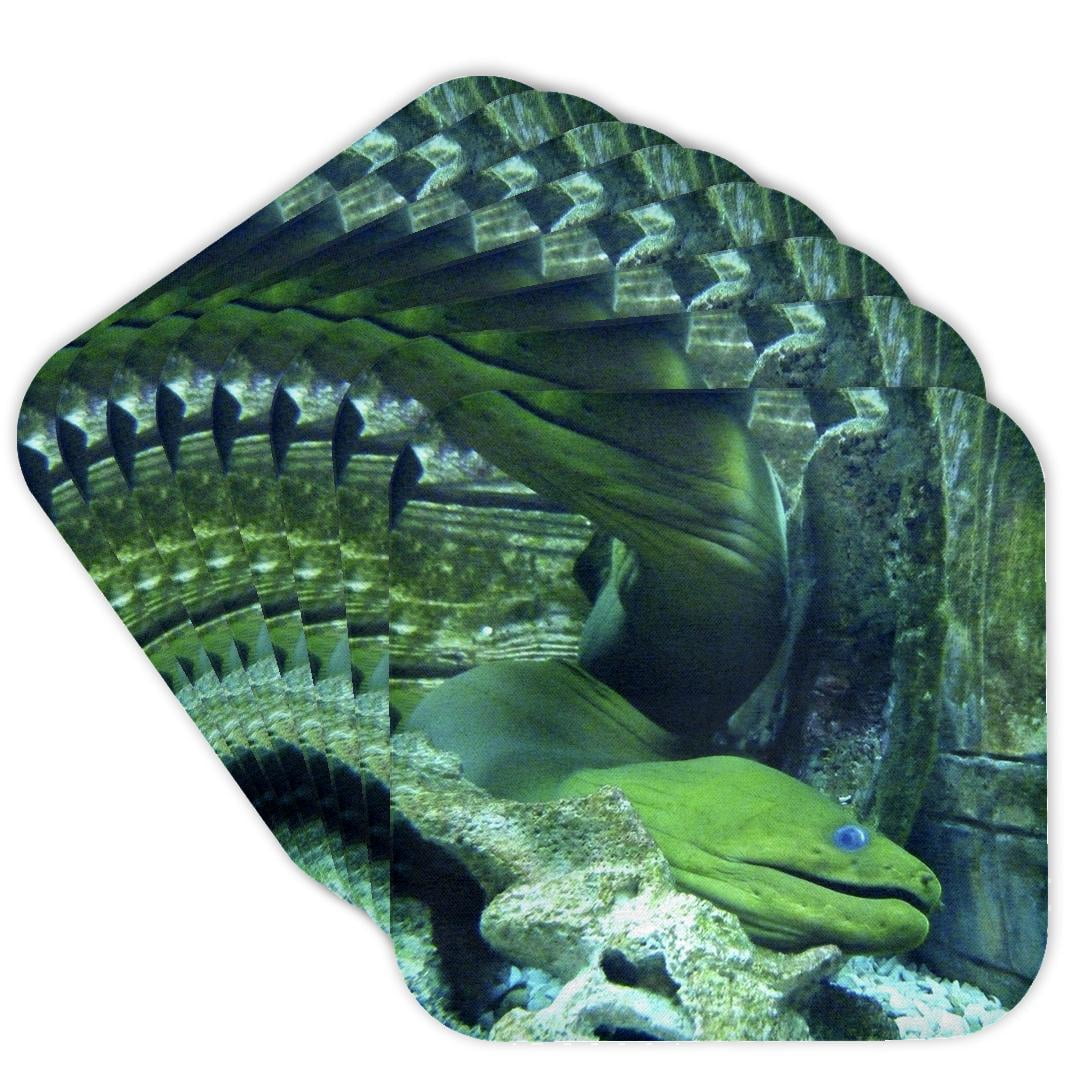3drose, Moray Eel, Set of 8 Coasters - Soft - Walmart.com