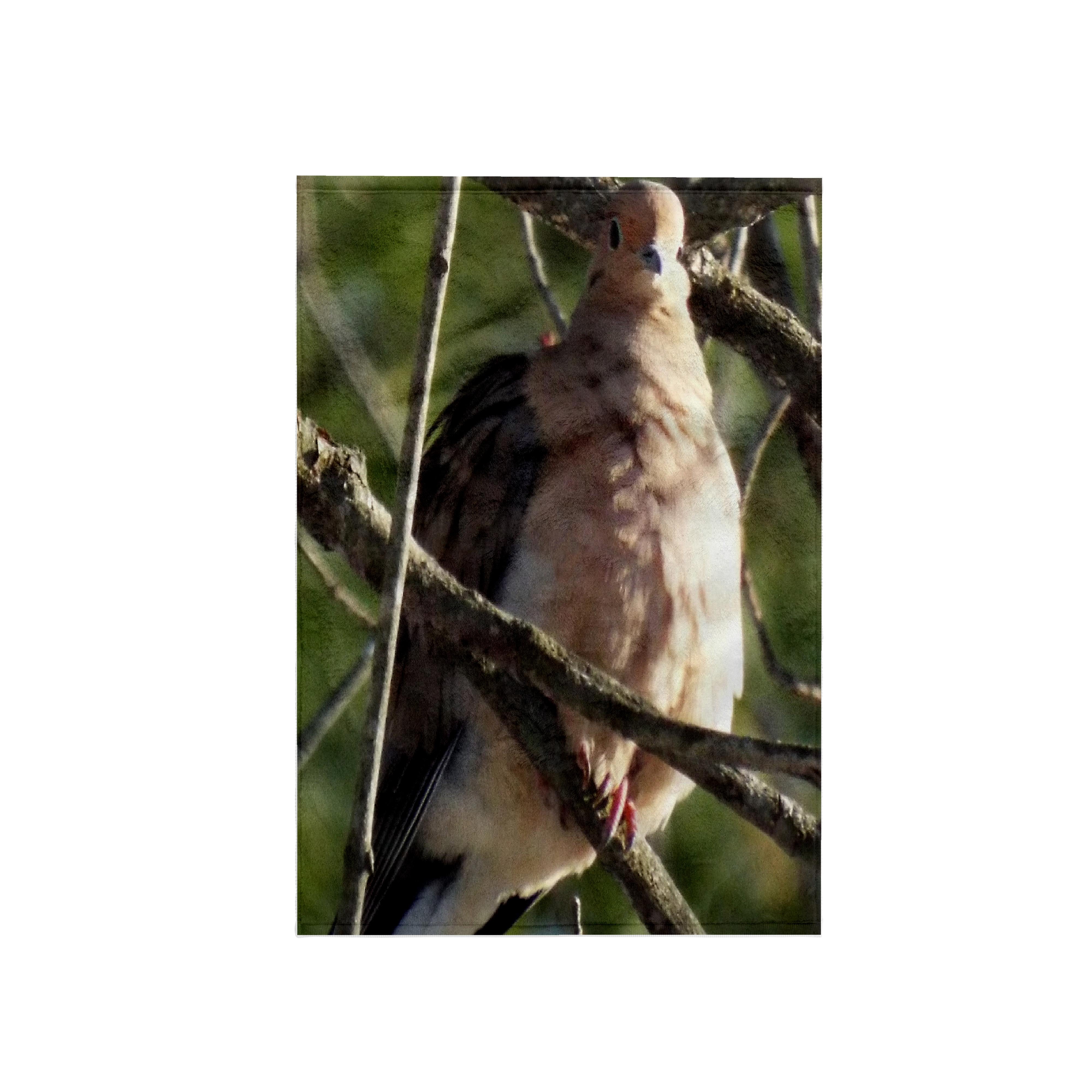 3dRose, Morning Dove , 15x22 Hand Towel - Walmart.com