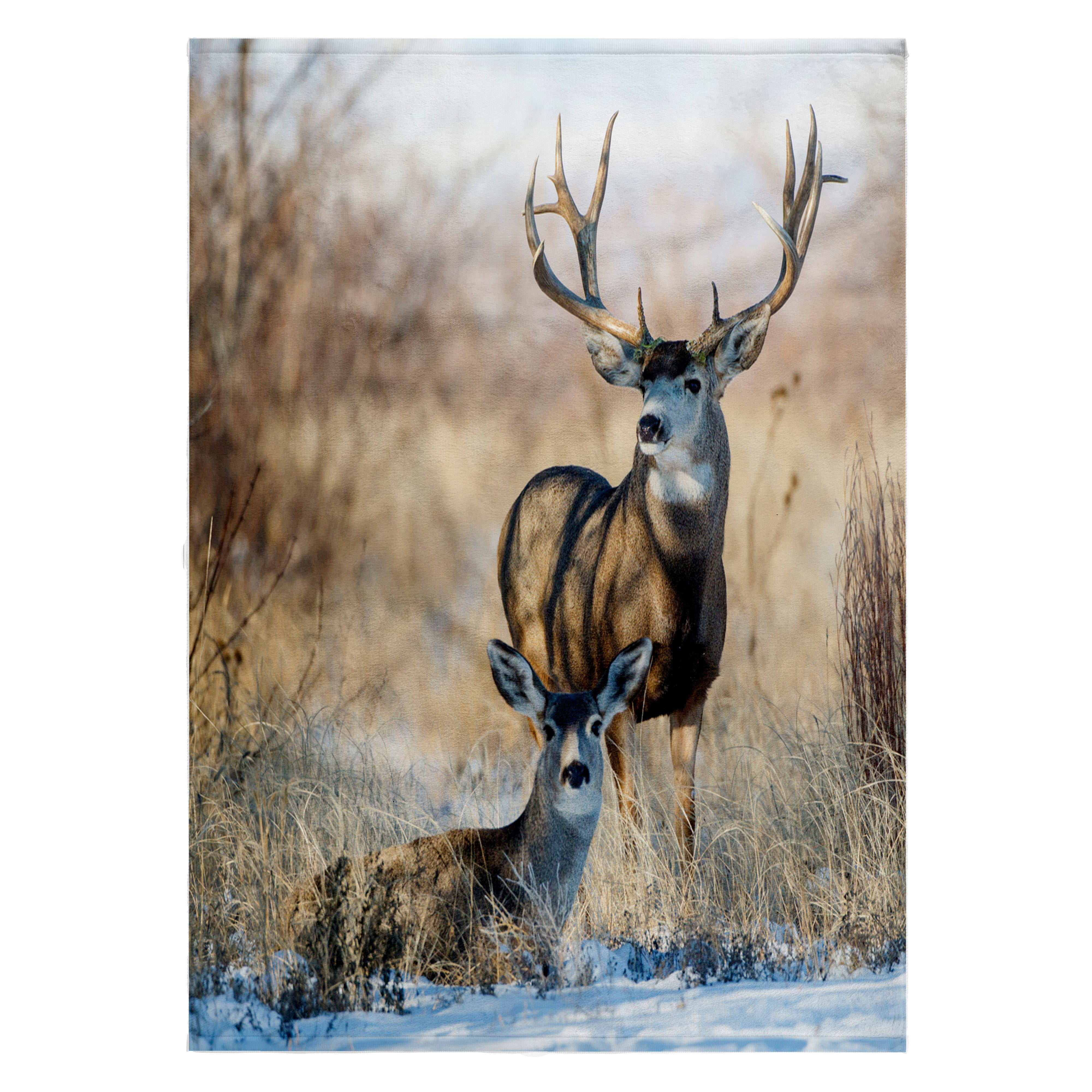3dRose, Mule Deer, Odocoileus hemionus, buck and doe bedded, 22x30 Bath ...