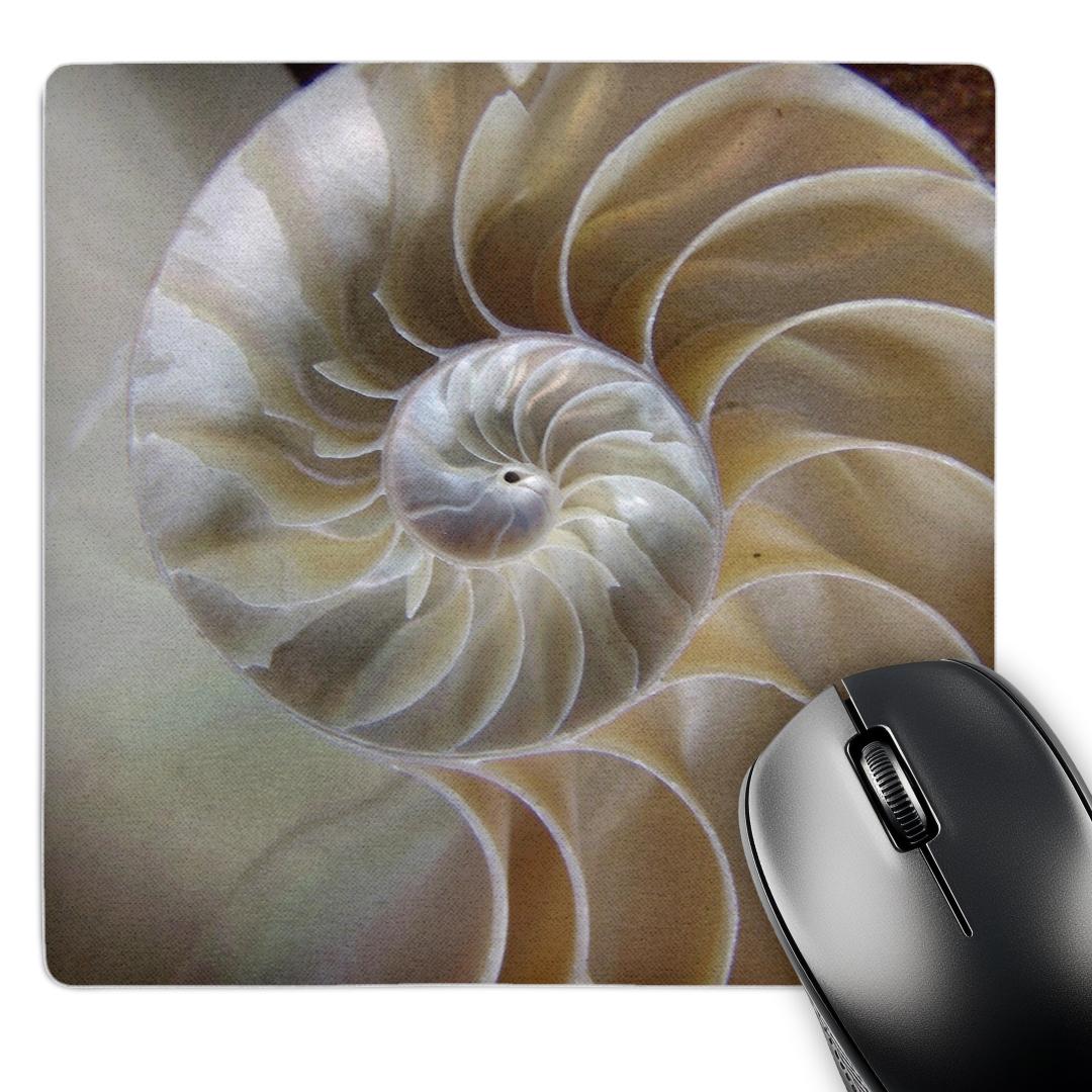 3dRose, Nautilus Shell, Mouse Pad - Walmart.com