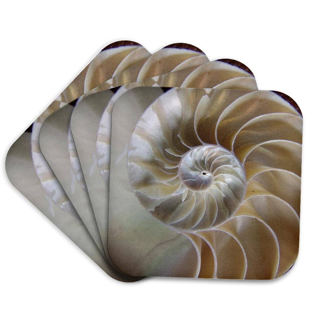 3dRose, Nautilus Shell, Set of 4 Coasters - Soft - Walmart.com