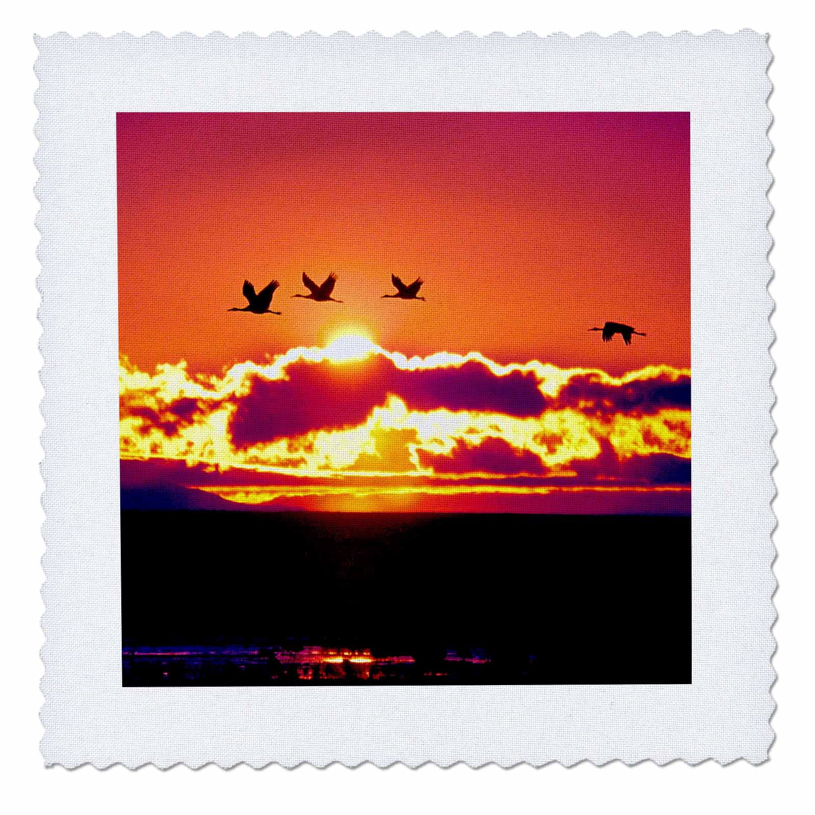 3dRose, New Mexico Bosque del Apache, Sandhill crane bird - US32 ...