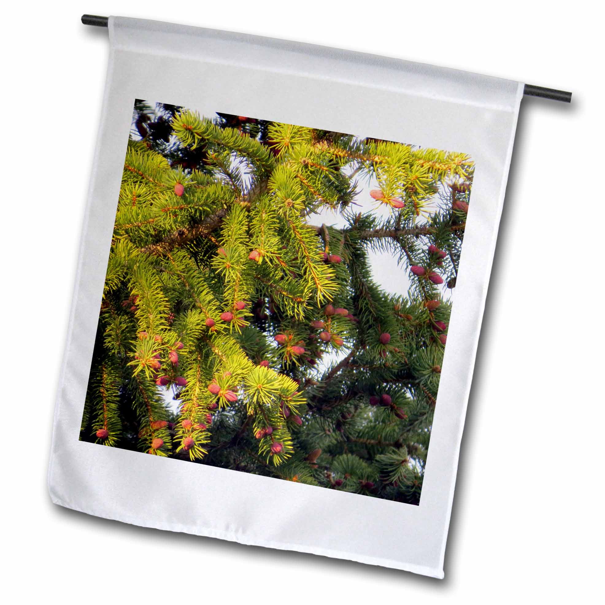3dRose, New pine cones growing on a tree giving it new life, 12 x 18 inch Garden Flag - Walmart.com