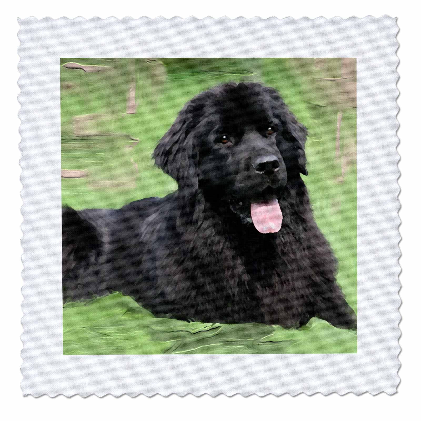 3dRose, Newfoundland, 12x12 inch quilt square - Walmart.com