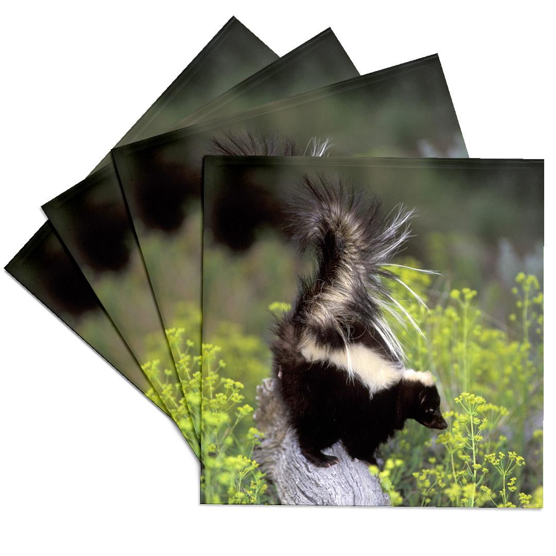 3drose, North America, Usa, Montana. Skunk Wildlife - Us27 Tve0004 ...