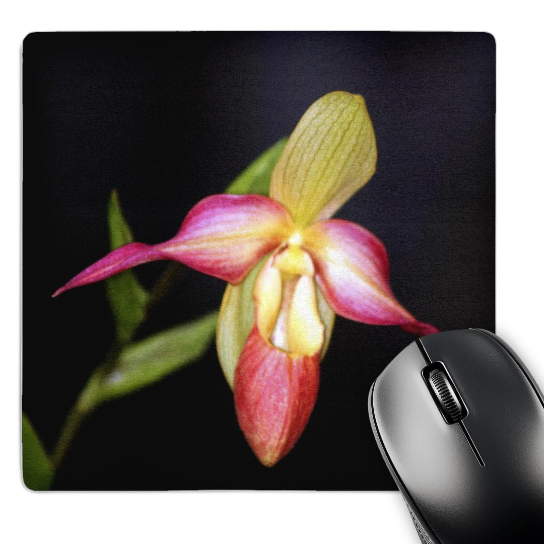 3dRose, ORCHID - XX, Mouse Pad - Walmart.com