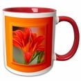 3drose, Orange Day Lily, 15oz Two-tone Red Mug - Walmart.com