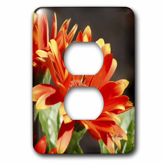 3dRose, Orange Velvet Gerber, 2 plug outlet cover - Walmart.com