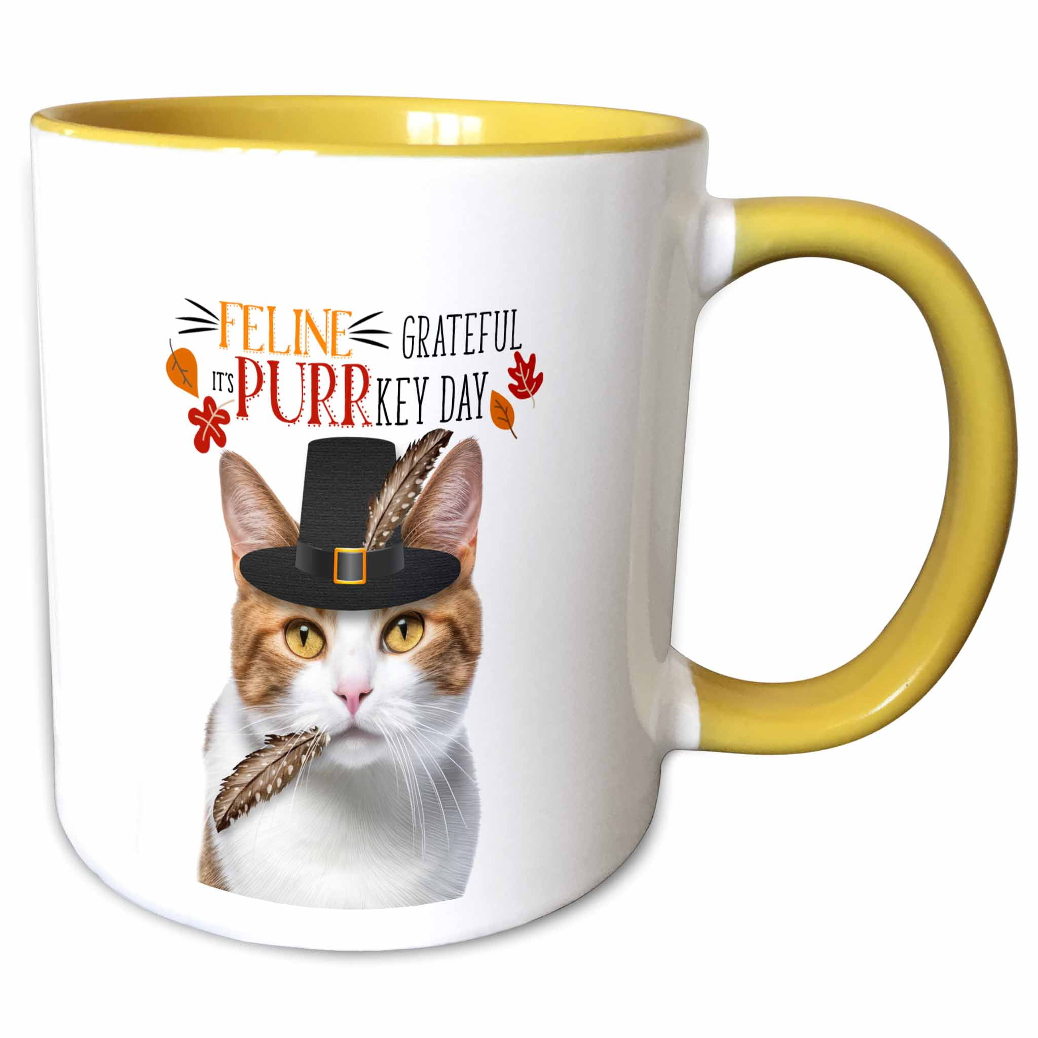 3drose, Orange and White Striped Cat in a Pilgrim Hat and Feather ...